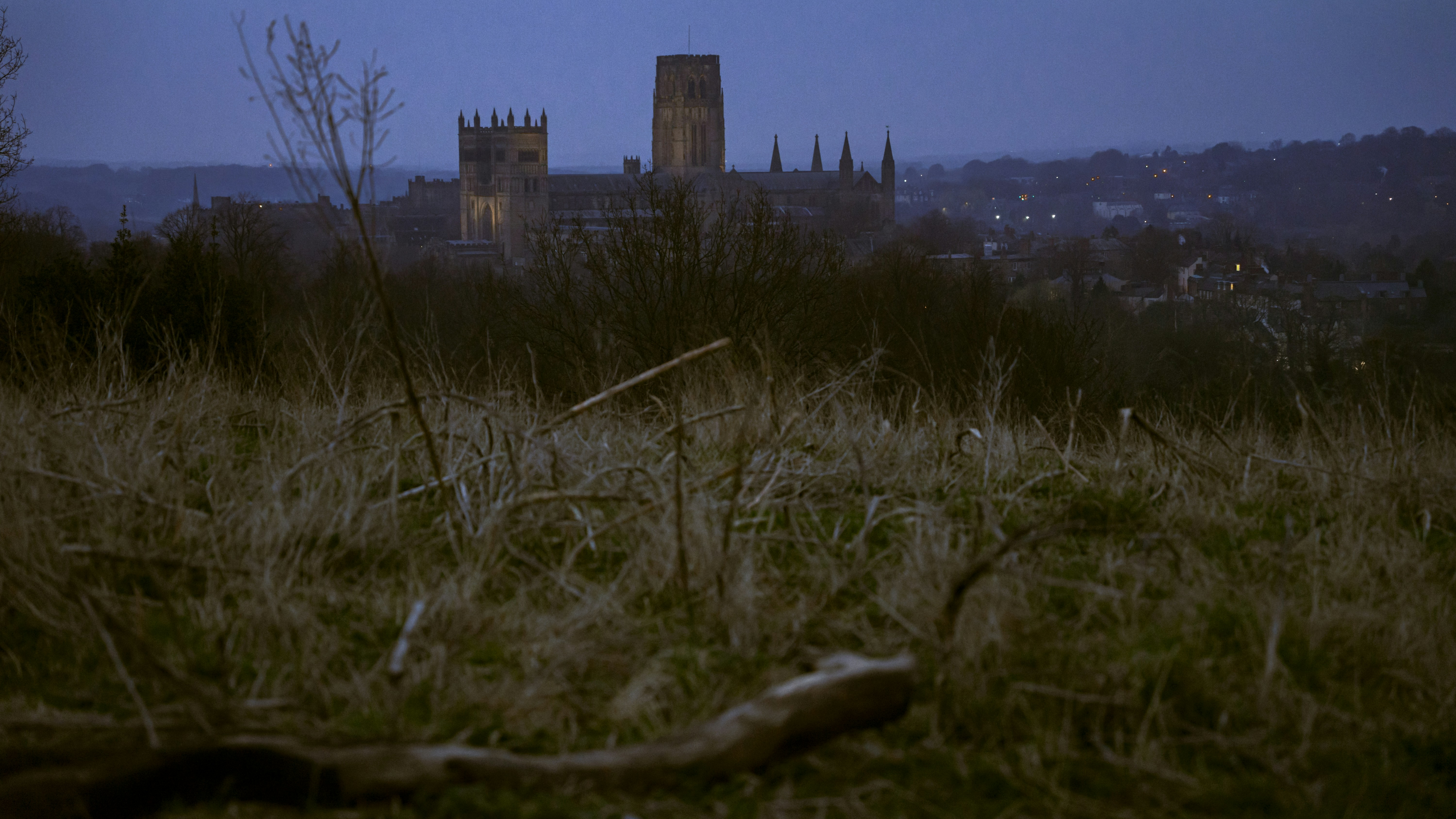 Castle Silhouettes Over a Moonlit Field