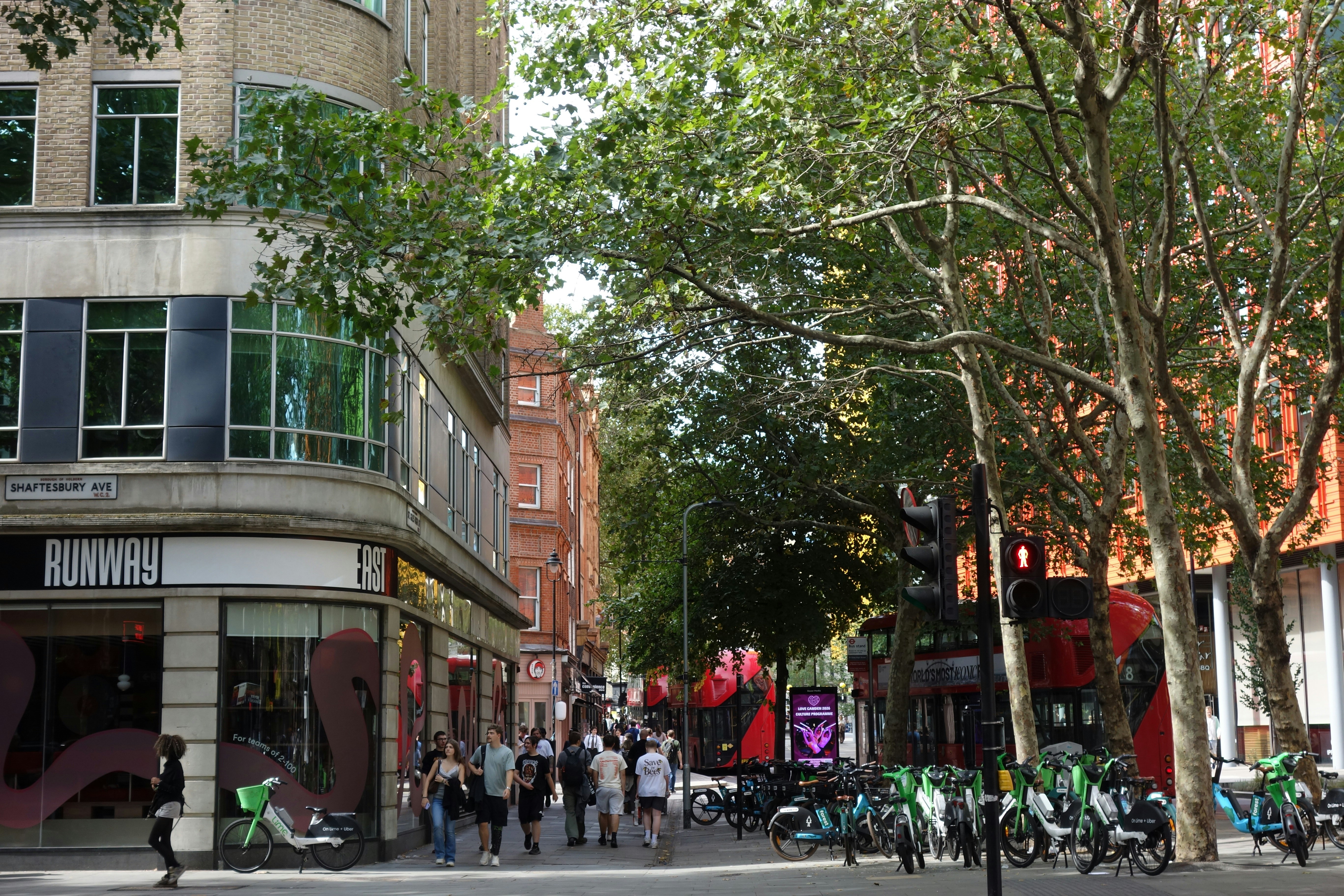 City Street Rendezvous: Passersby Beneath A Tree Canopy