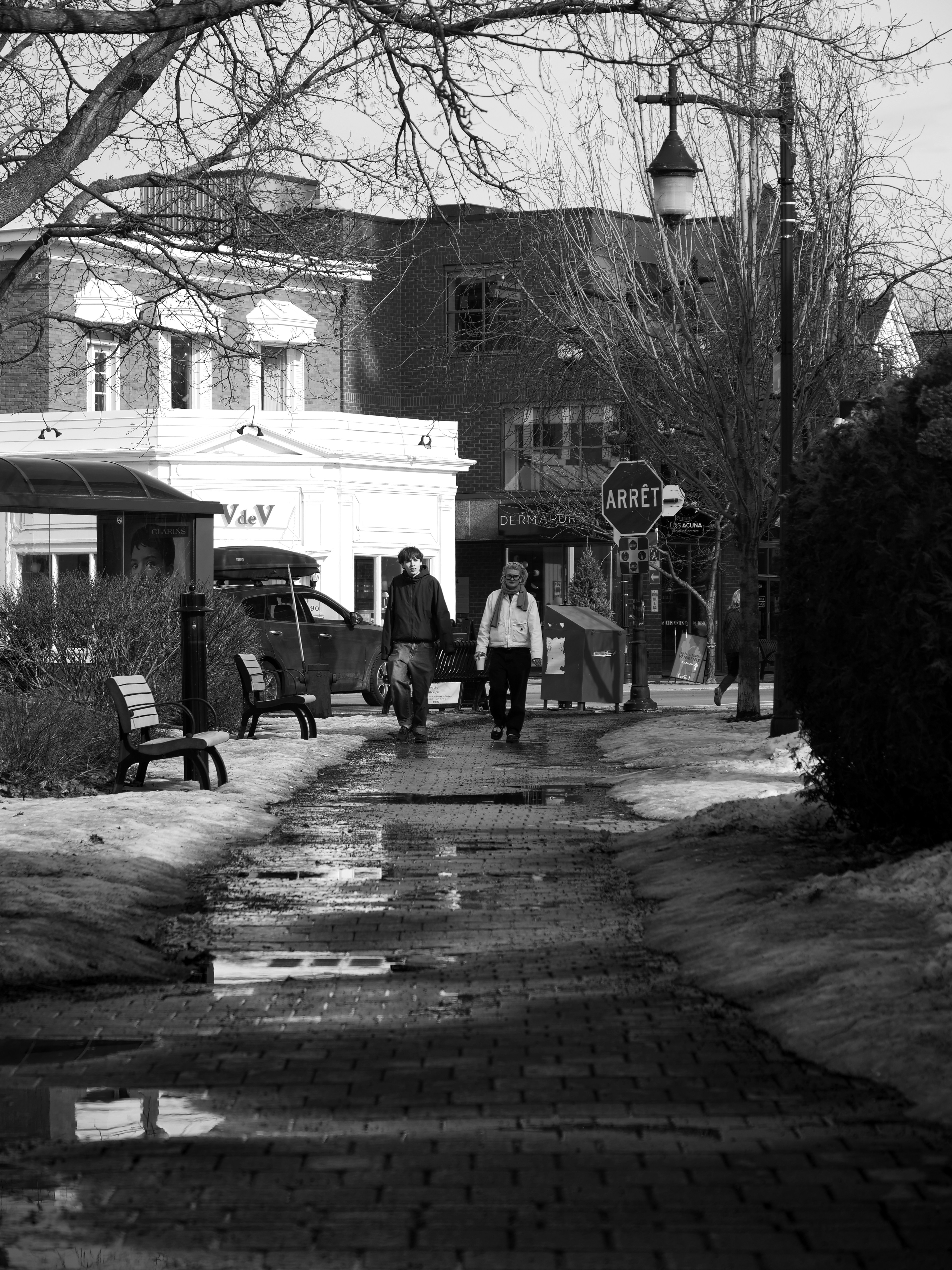 Quiet Street Crossing: Figures Walk Toward Winter’s Edge
