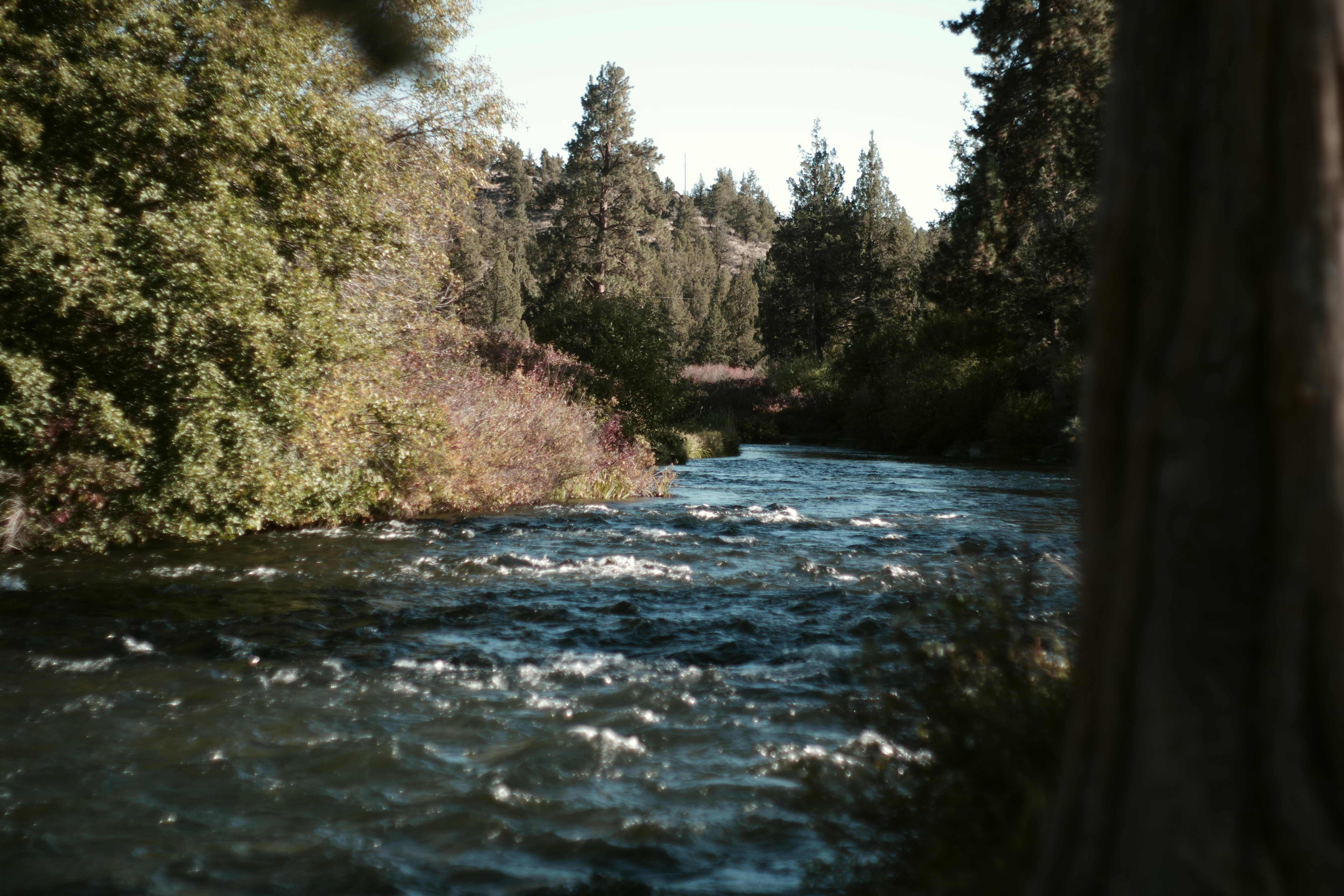 River Bend Glow: Light Playing on Moving Water