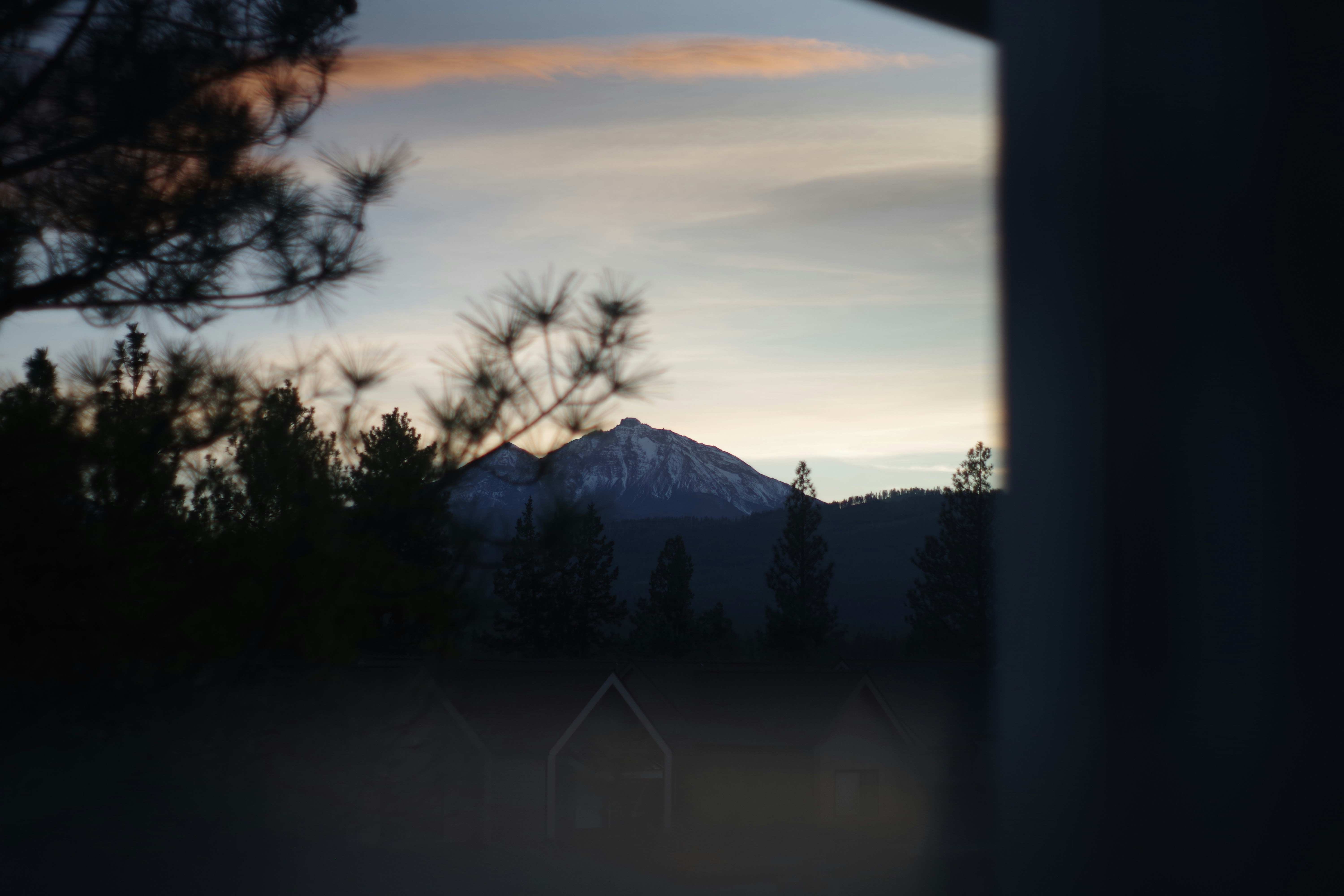 Dawn Peak: Snow-Crowned Summit Beyond Shadowed Pines