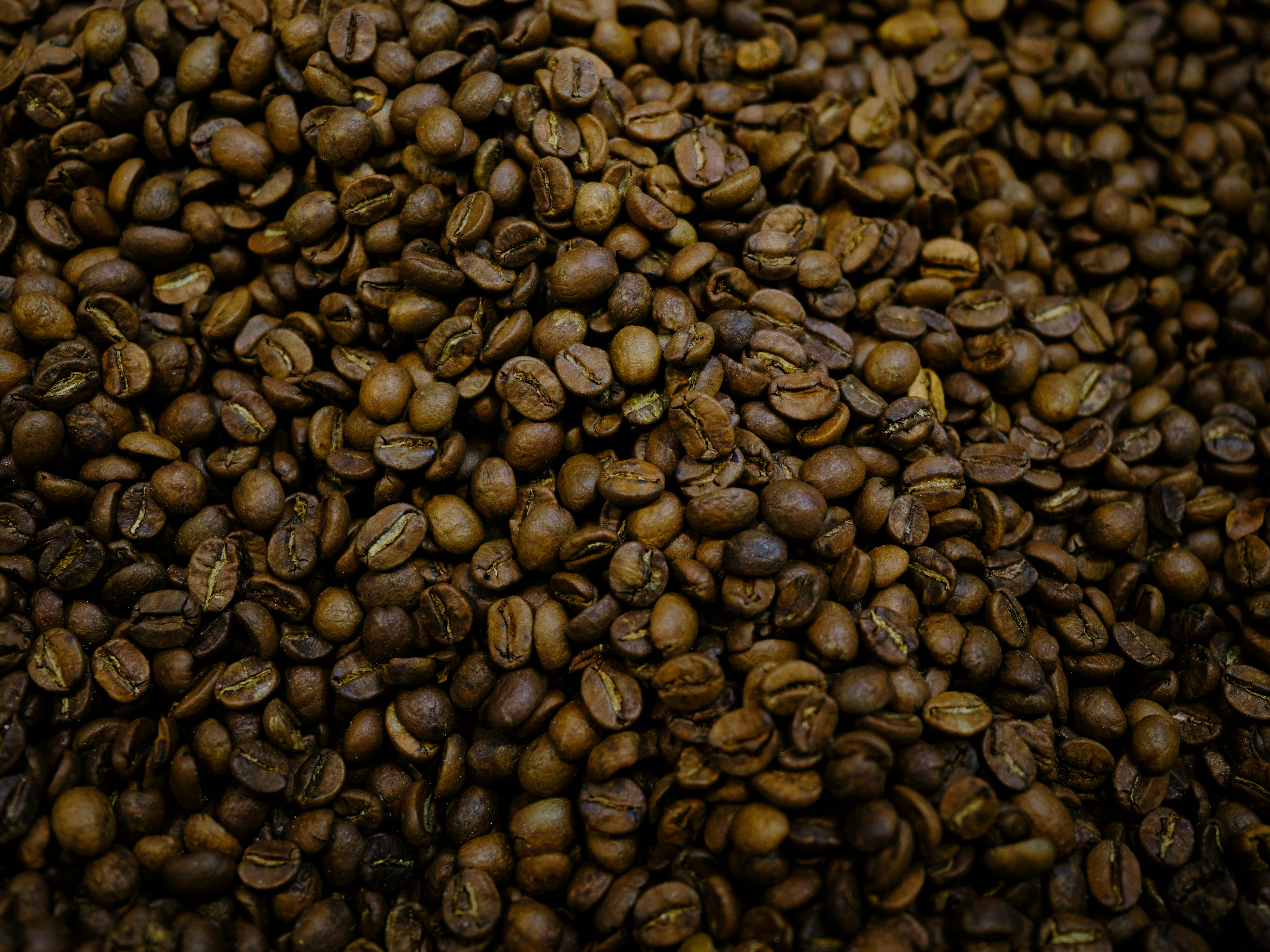 Midnight Roast: A Dense Bed of Coffee Beans