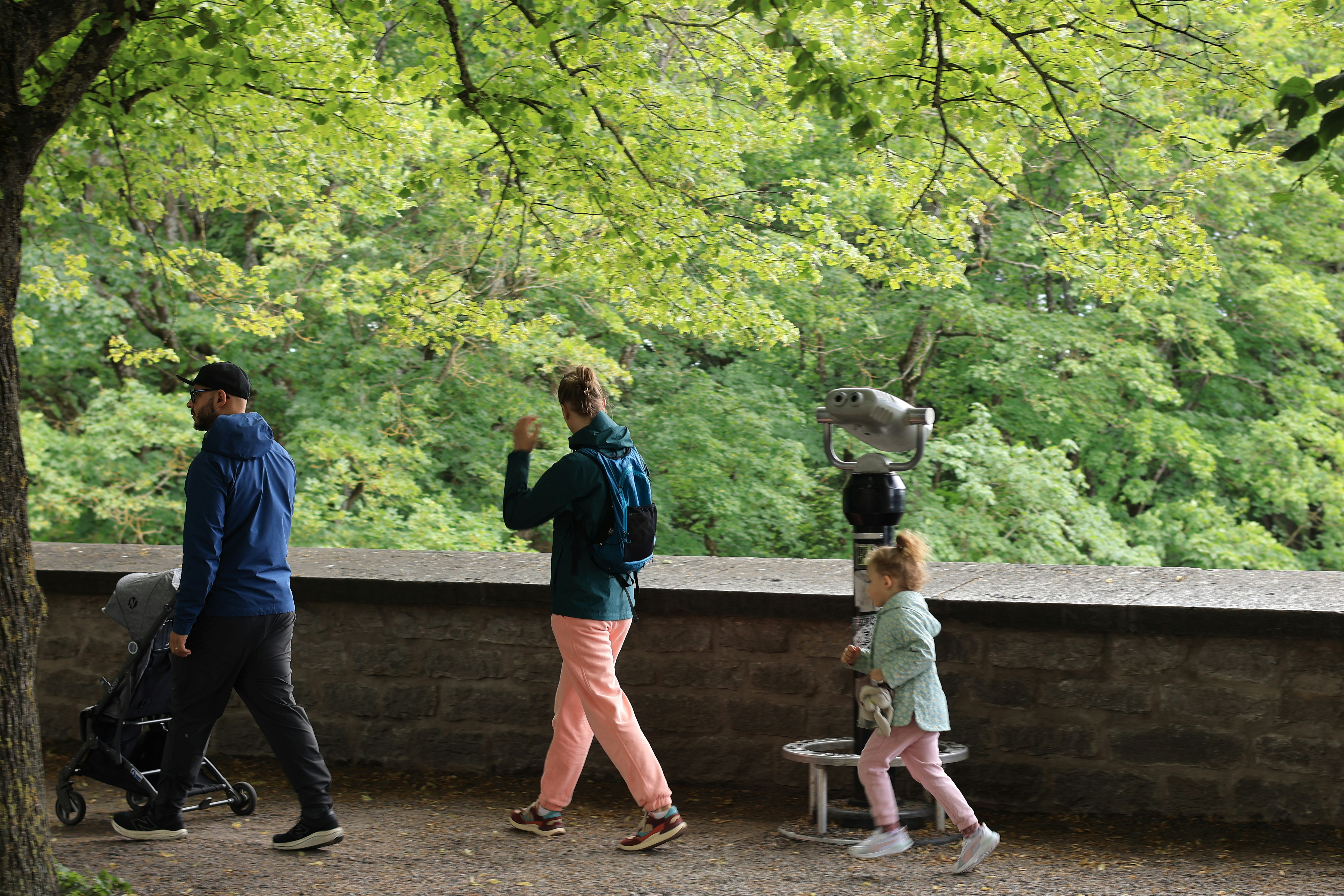 Stroll, Pause, and Observe: A Family Moment by the Park Rail