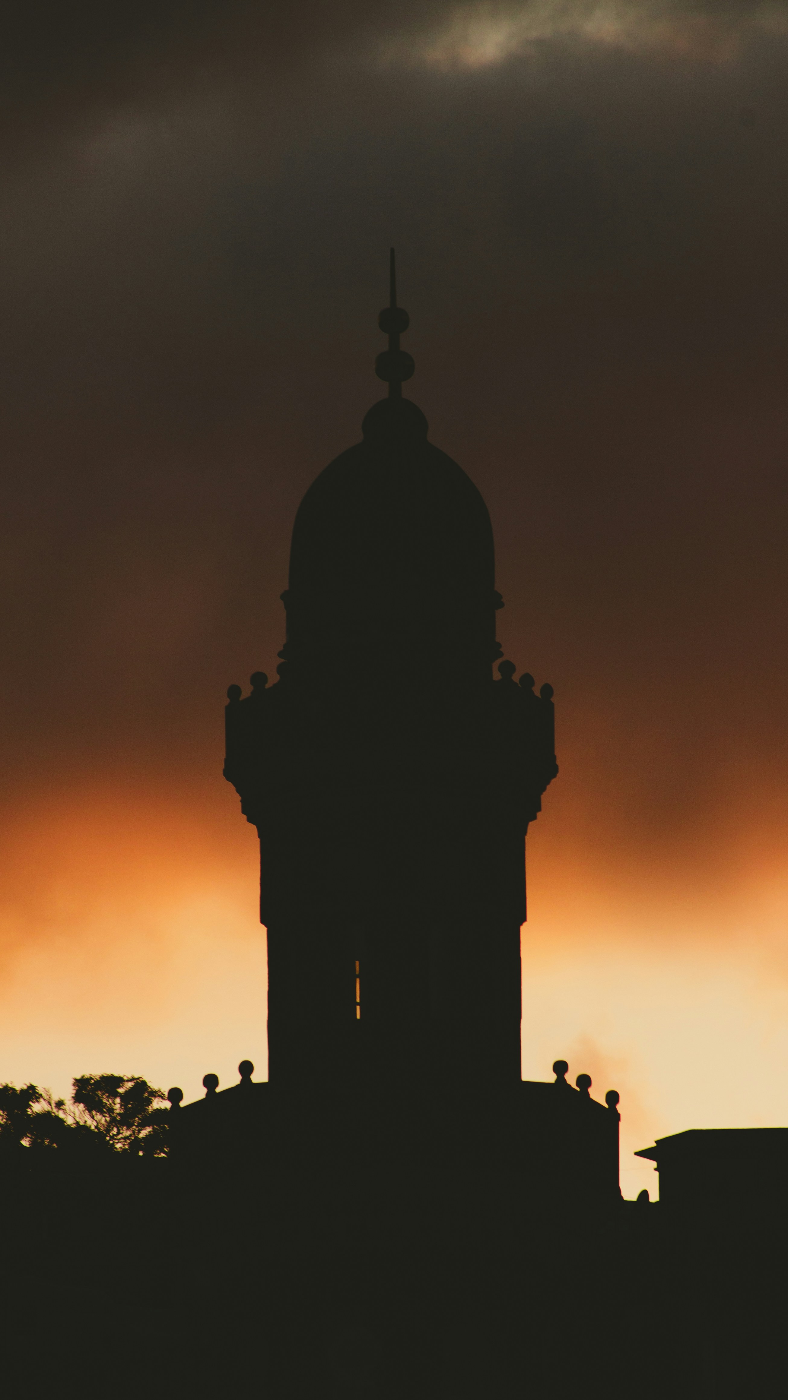 Silhouette Sentinel at Dusk