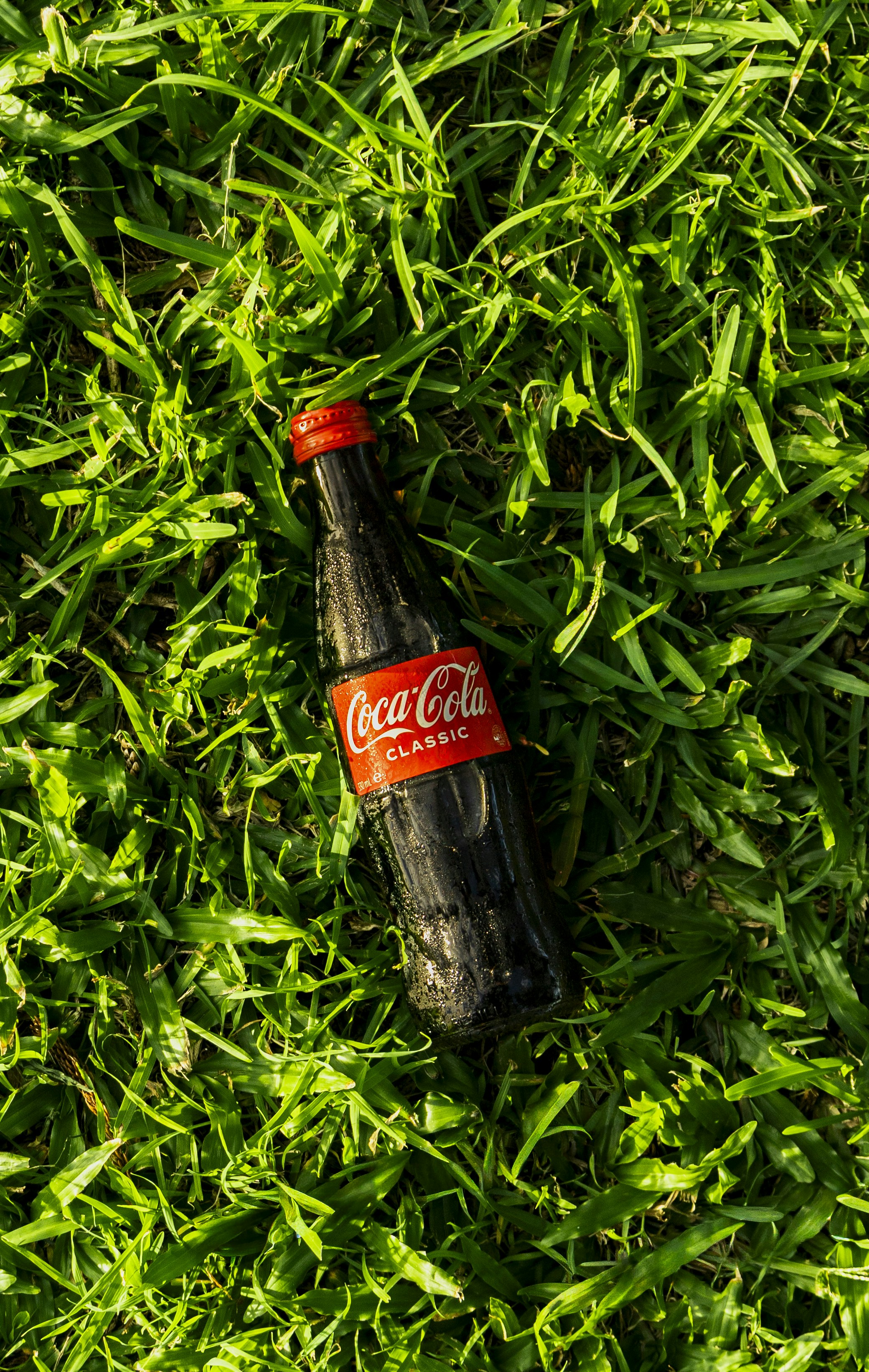 Coca‑Cola Classic Resting in Fresh Green Grass