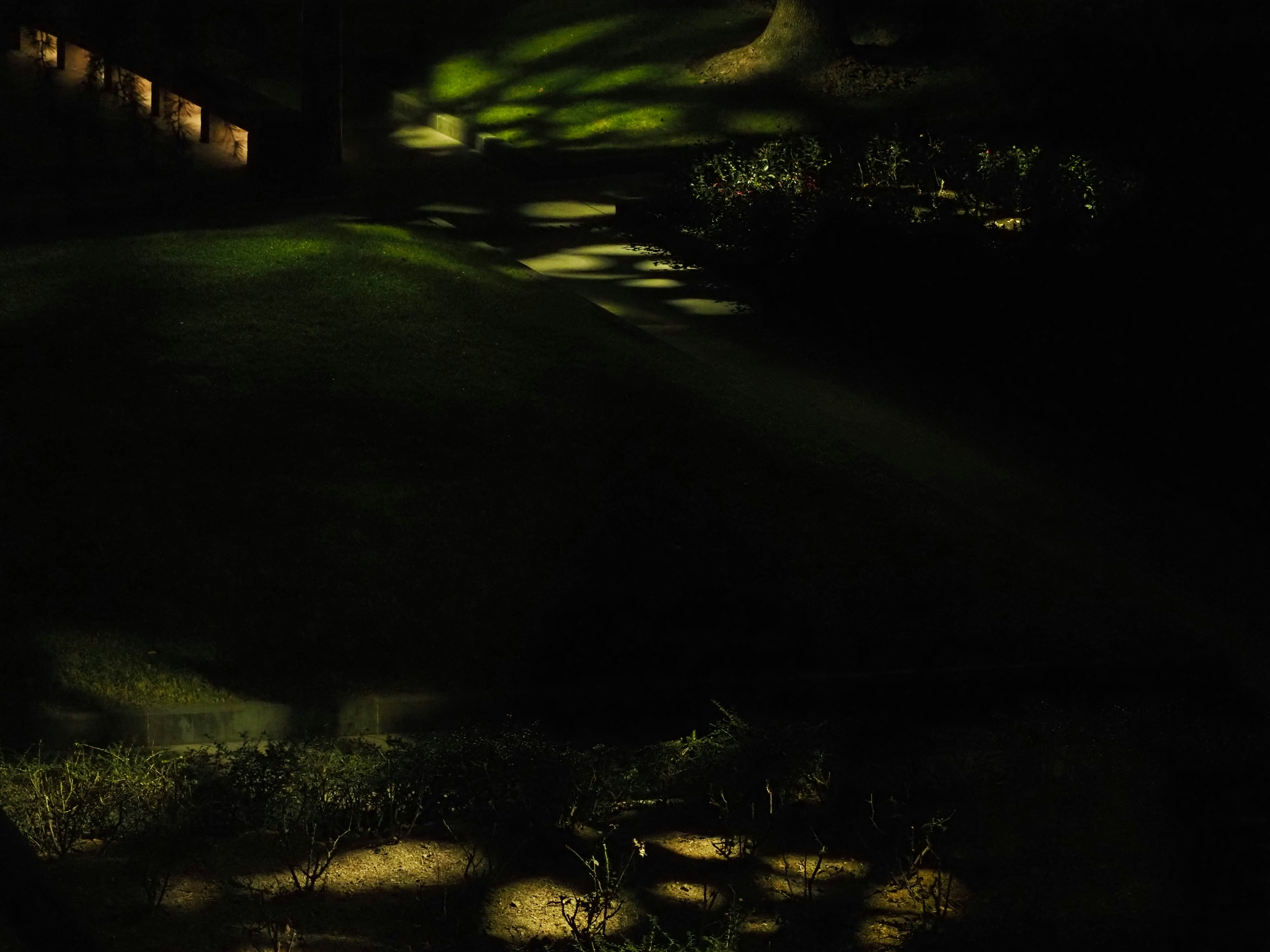 Moonlit Steps: A Quiet Pathway Through Shadows