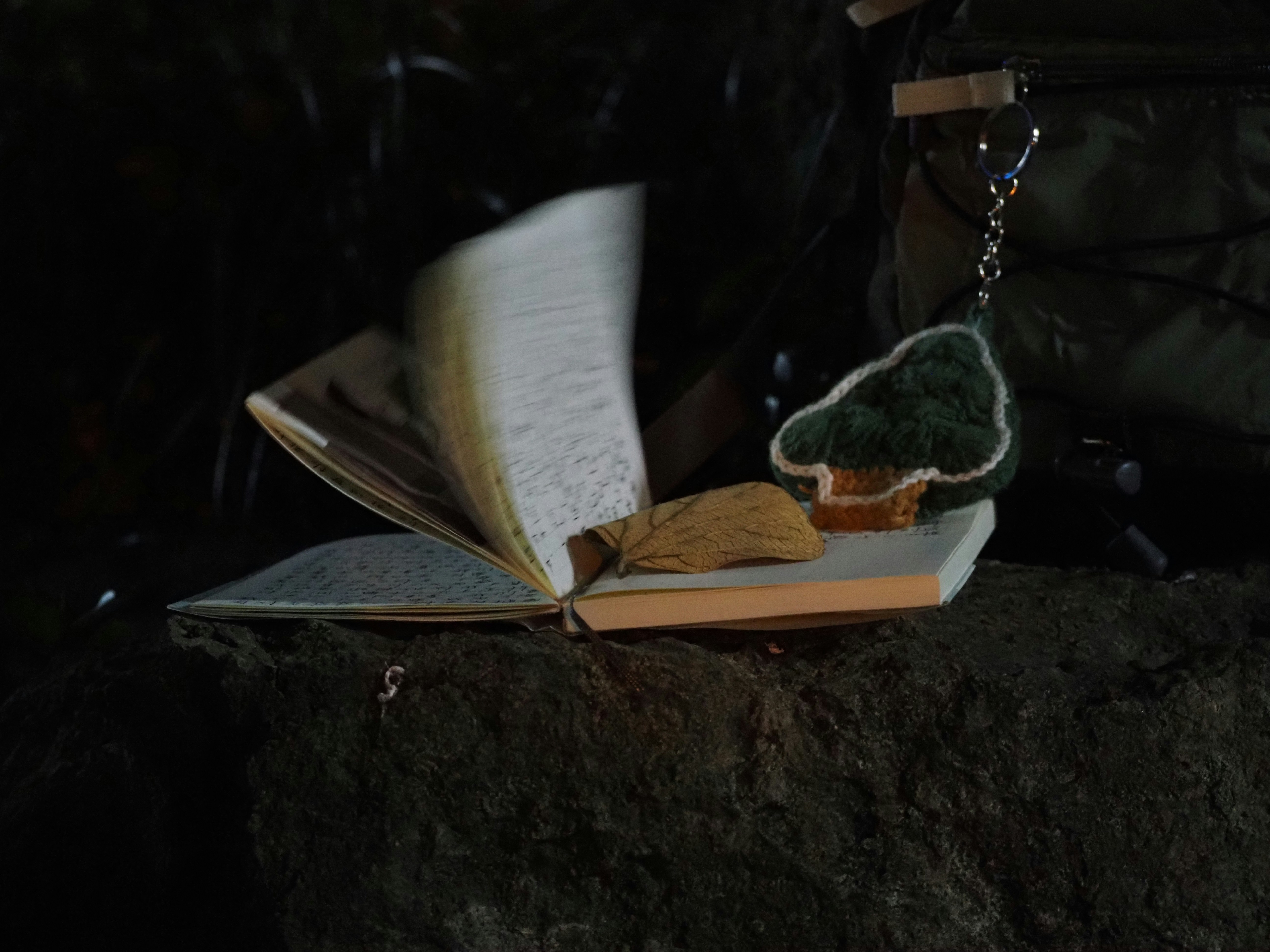 Open-Page Key: A Tiny Journal of Light in the Dark