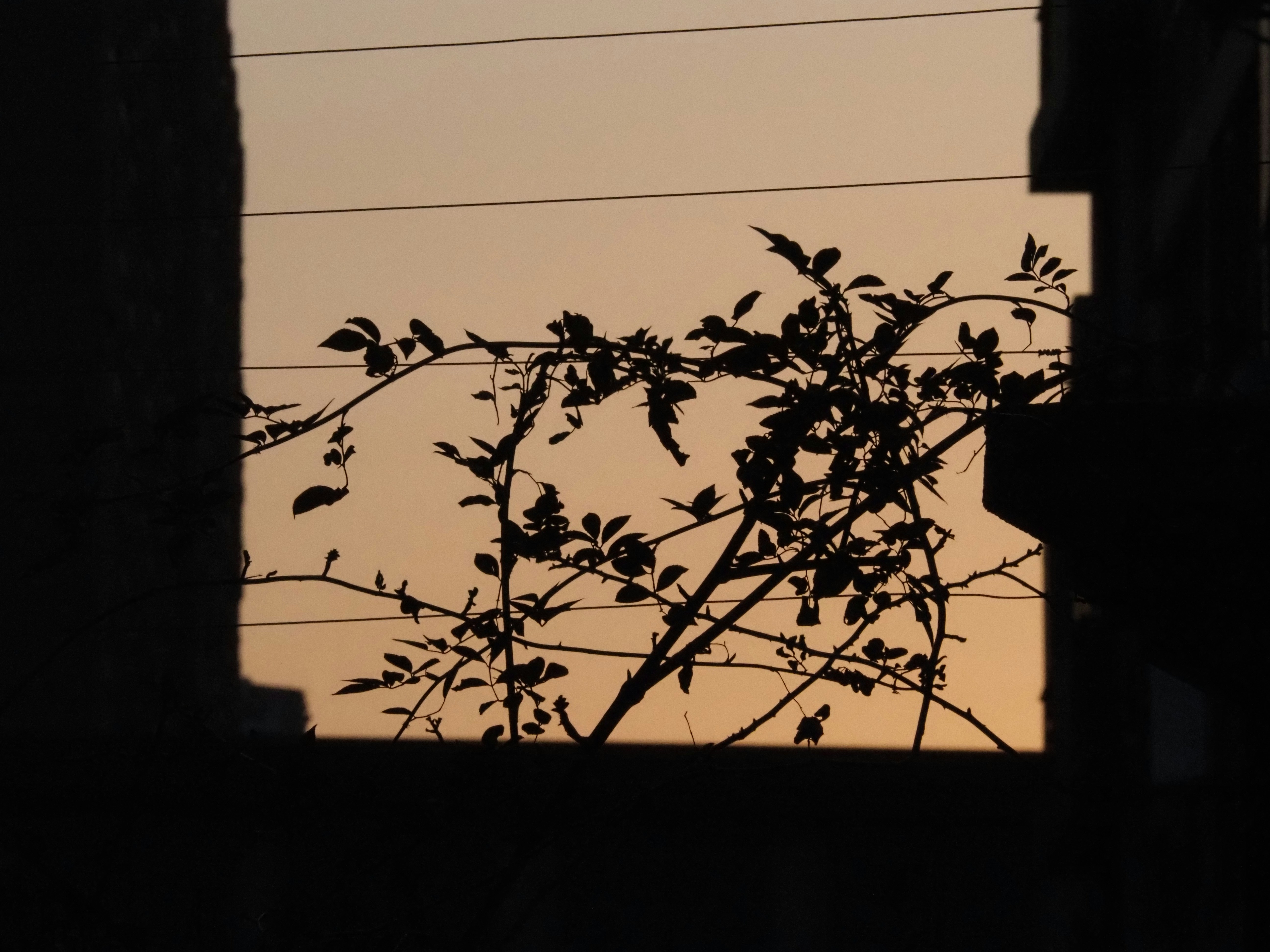 Silhouette Through a Sunset Window