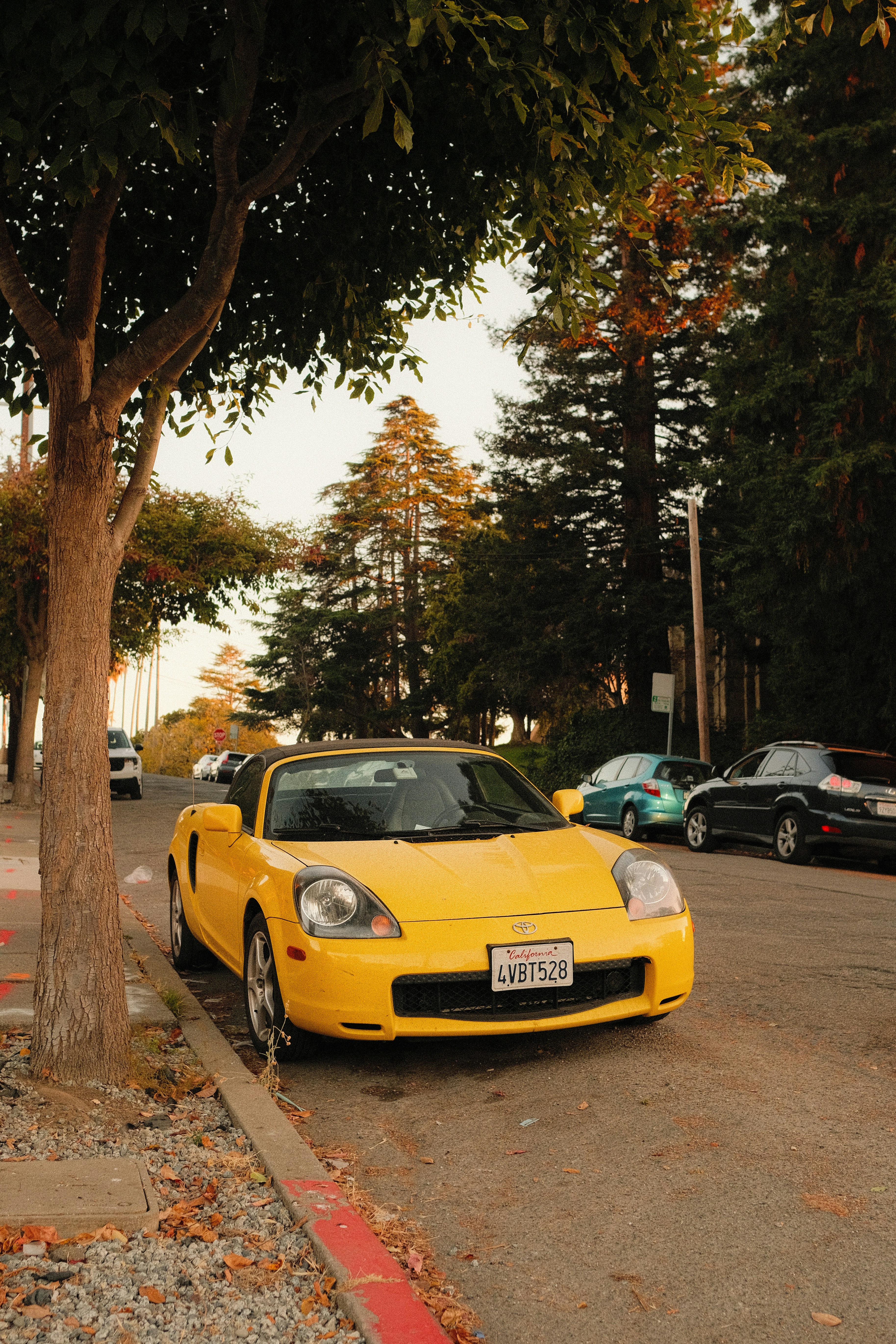 Yellow Roadster Under Tree Canopy on Autumn Street