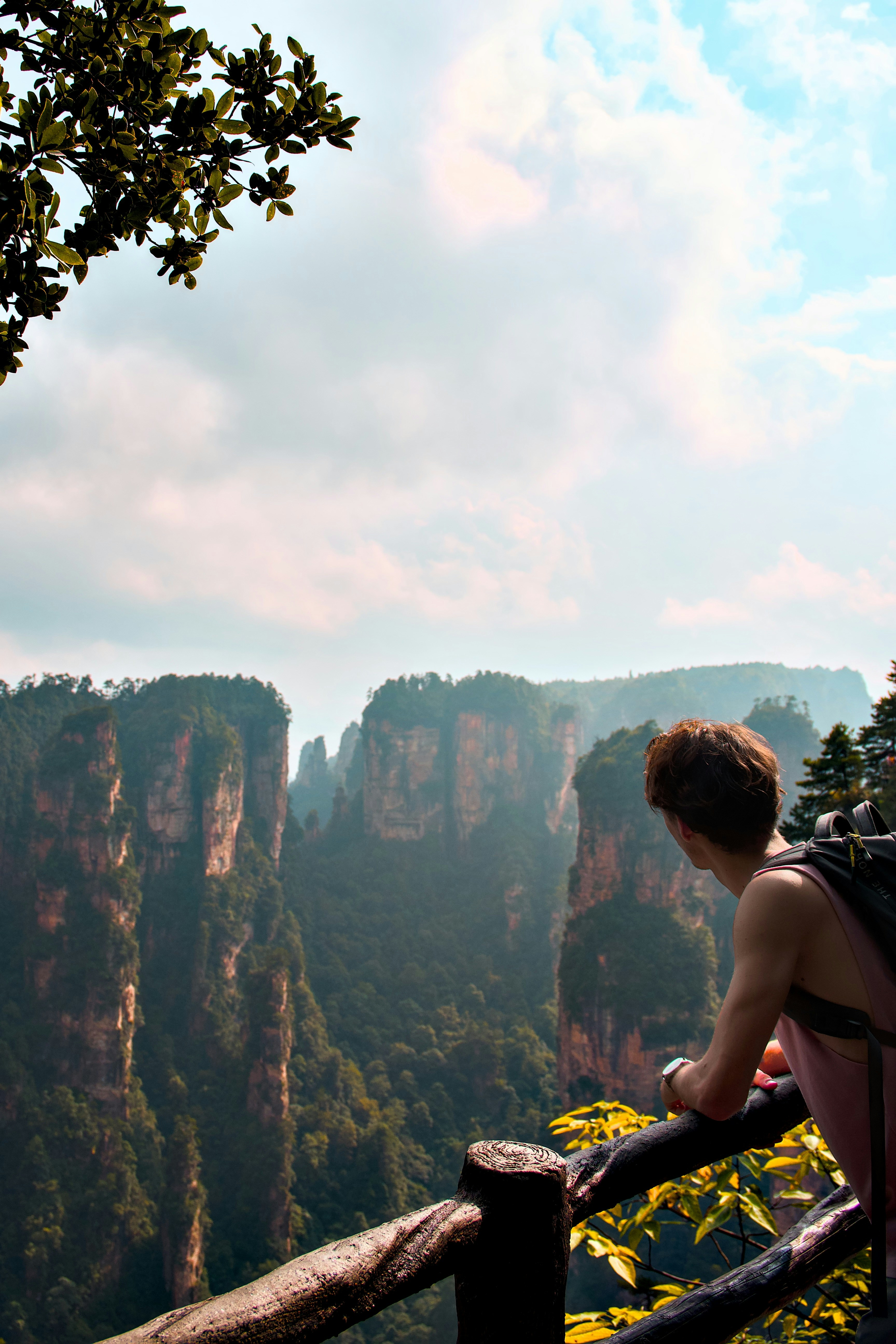 Overlook with a Distant Pillar Canyon and a Traveler at the Rail