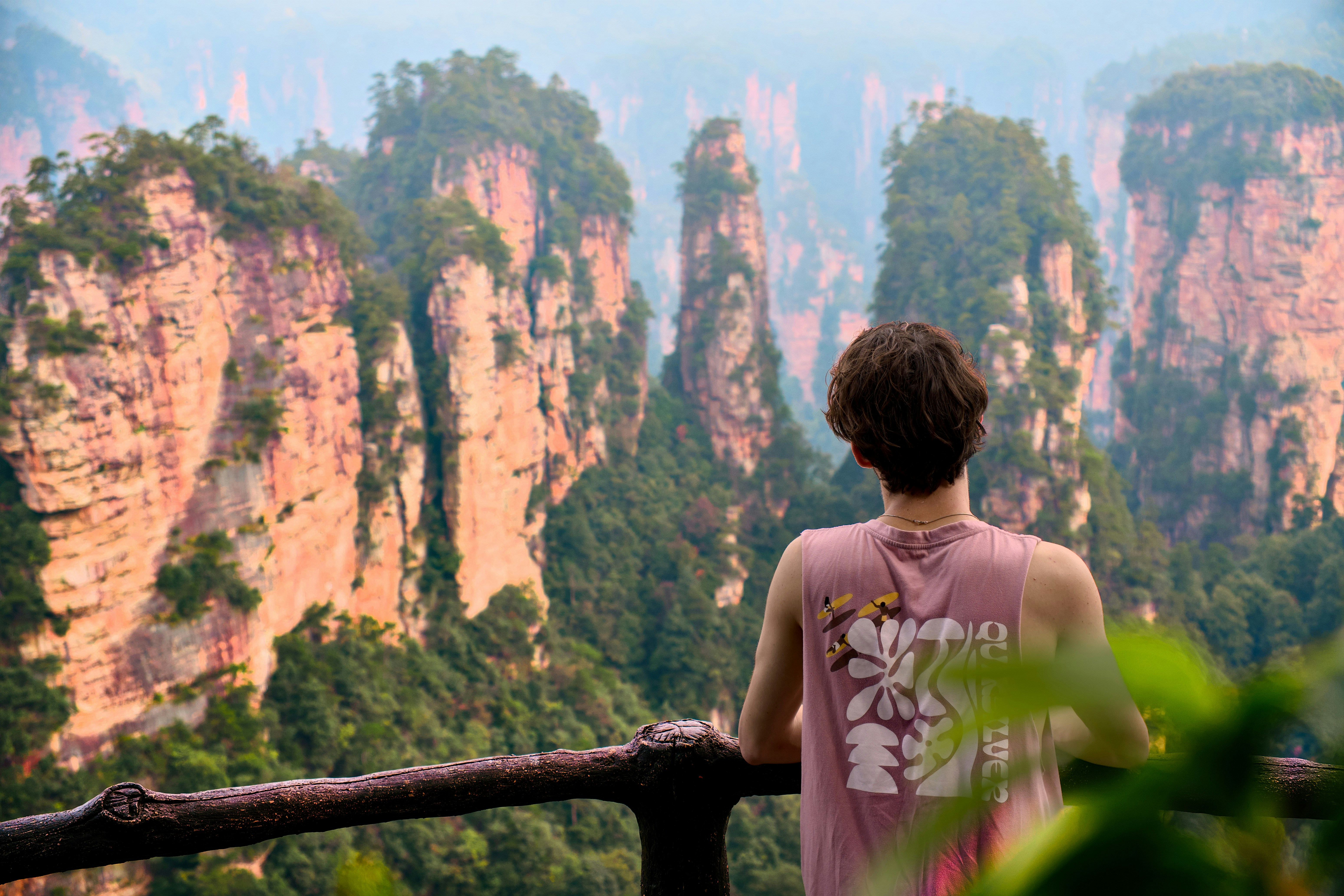 Overlook Muse: A lone traveler surveys the emerald pillars