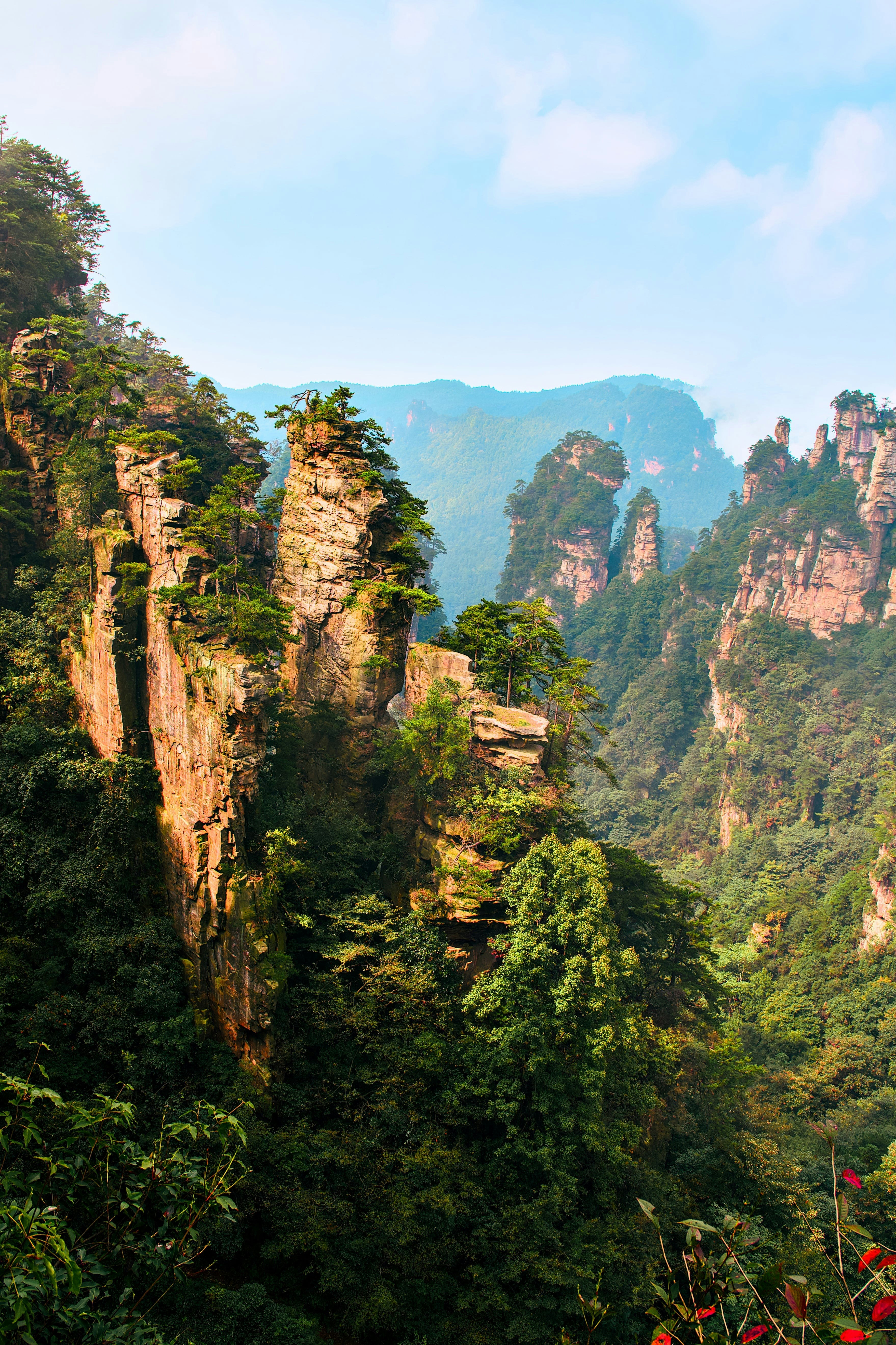 Cliff Sutra: A Wall of Stone and Green Peaks