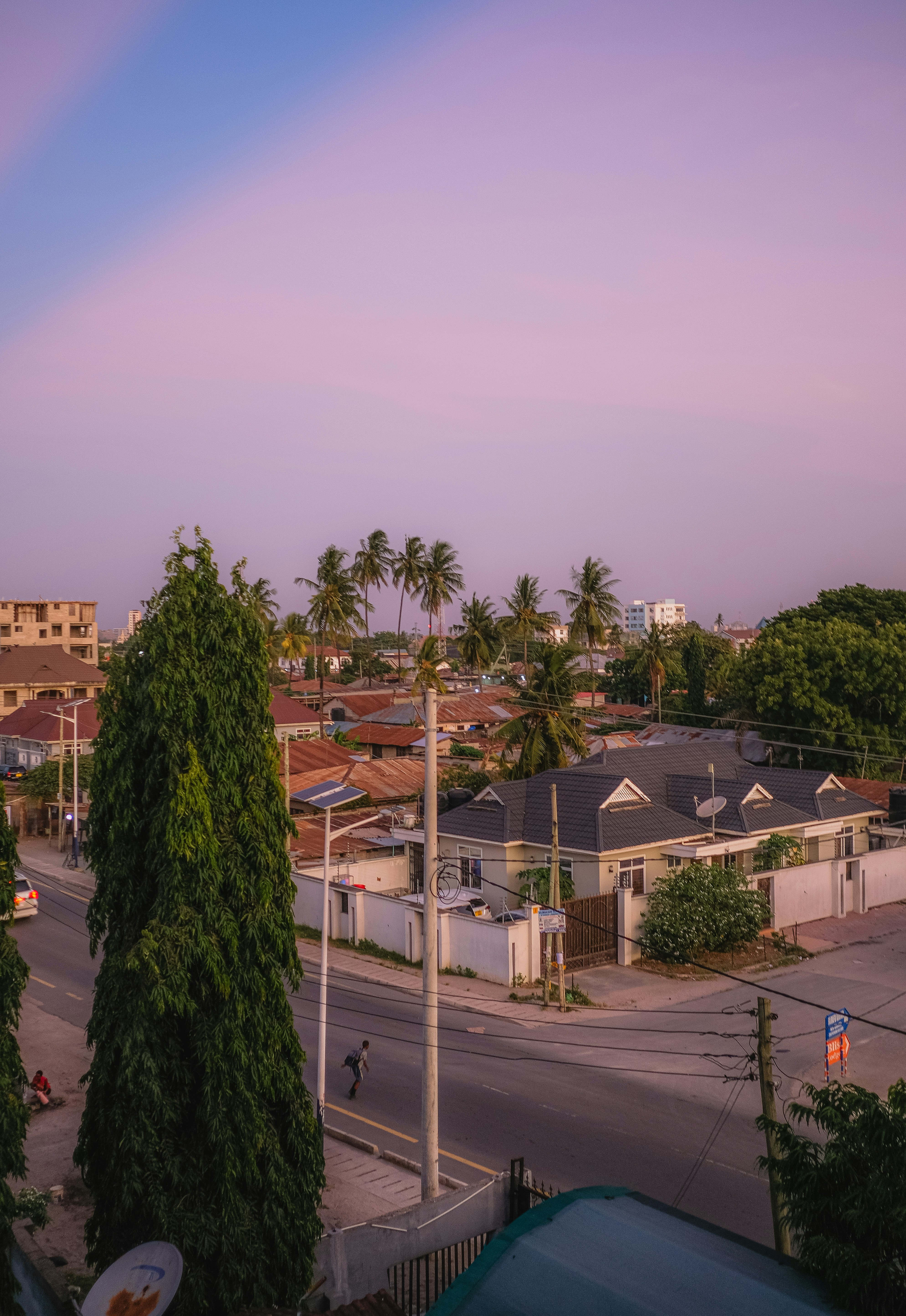 Twilight Ridge: Palm-lined Avenue Under a Lavender Sky