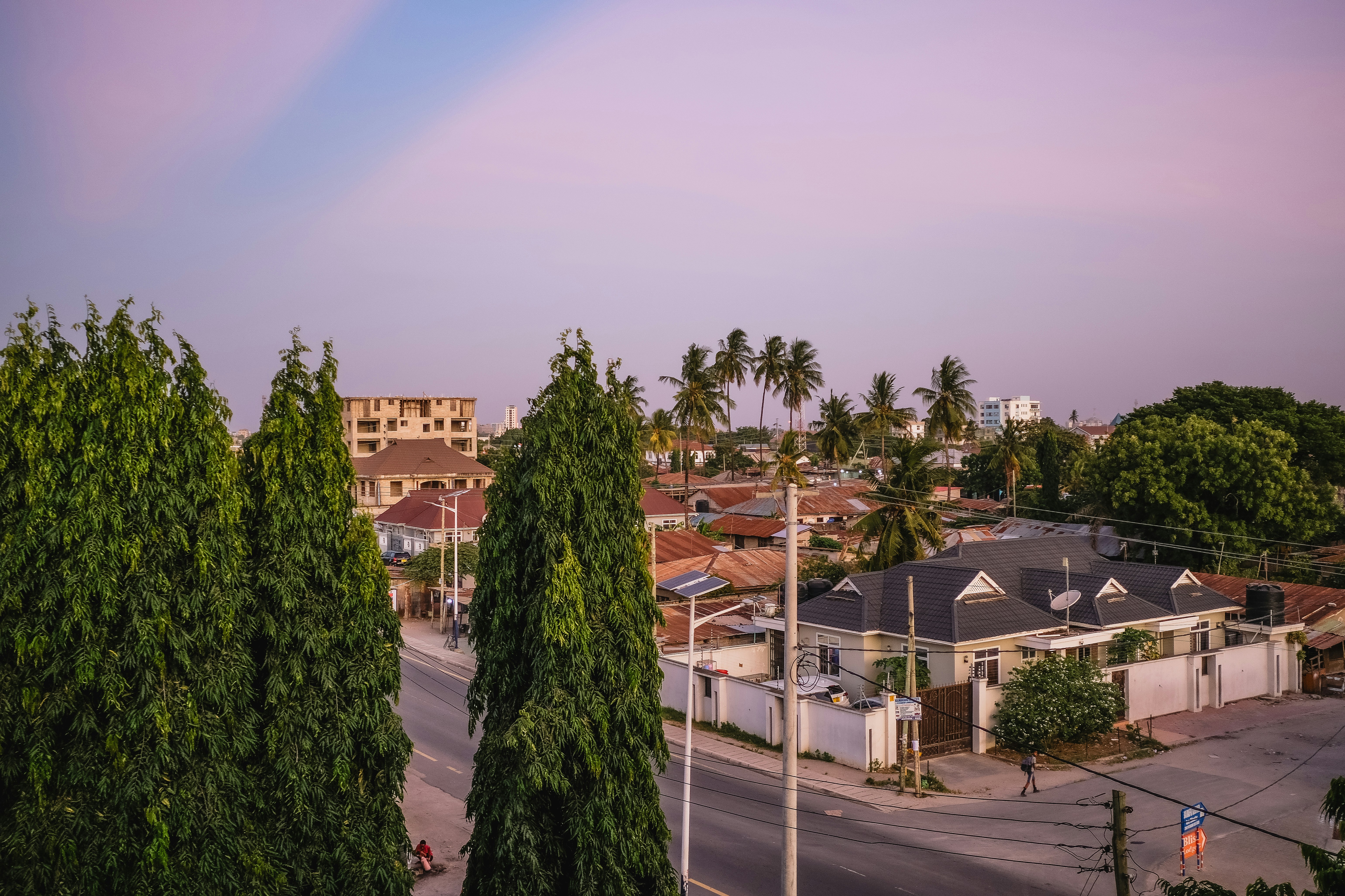Palm-lined Avenue under a rosy twilight sky