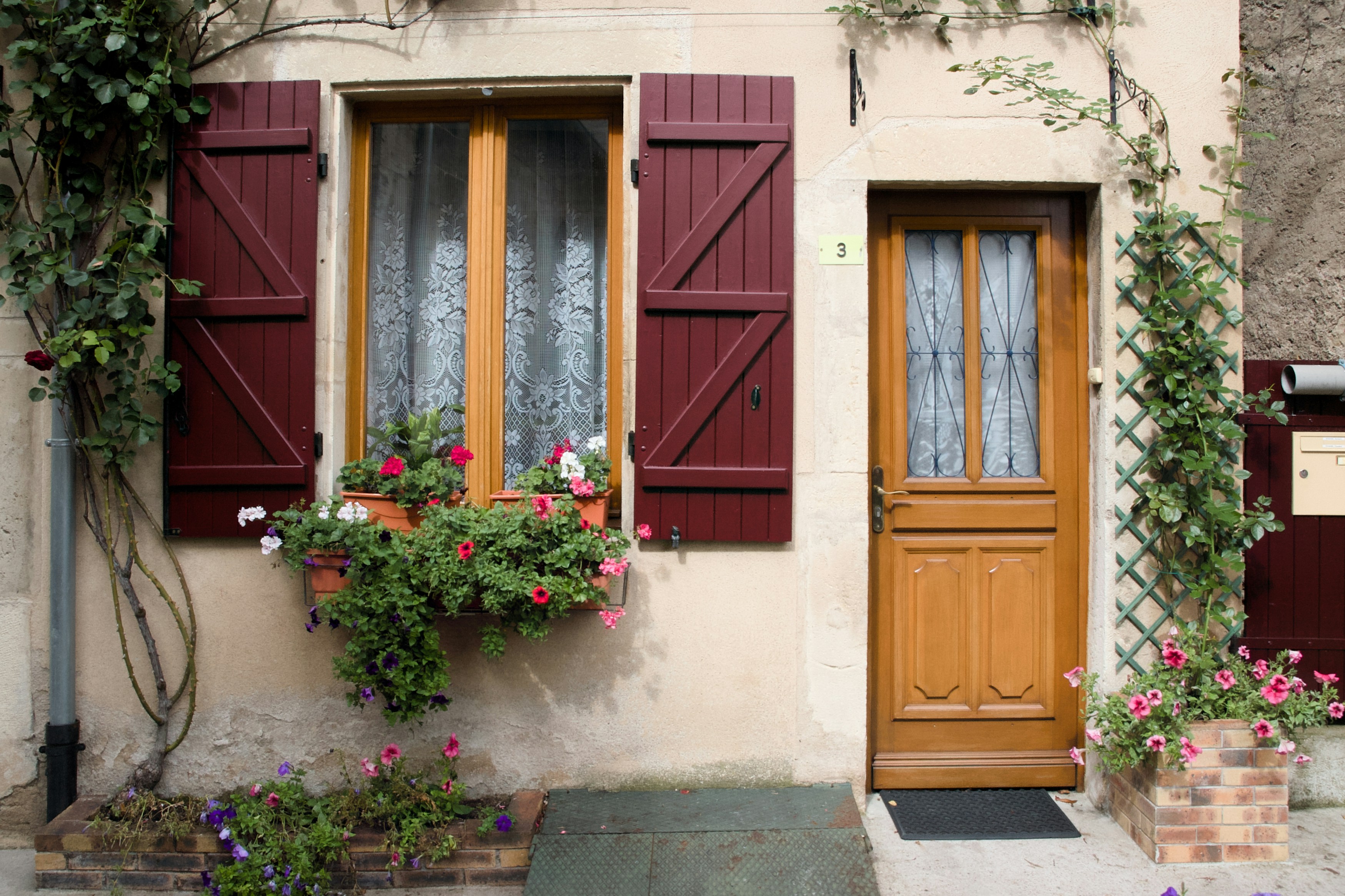 Traditional house facade in Lunéville, France featuring wooden door with glass panels, maroon shutters, flower boxes with colorful blooms, climbing vines on cream-colored walls, and lace curtains behind the window.