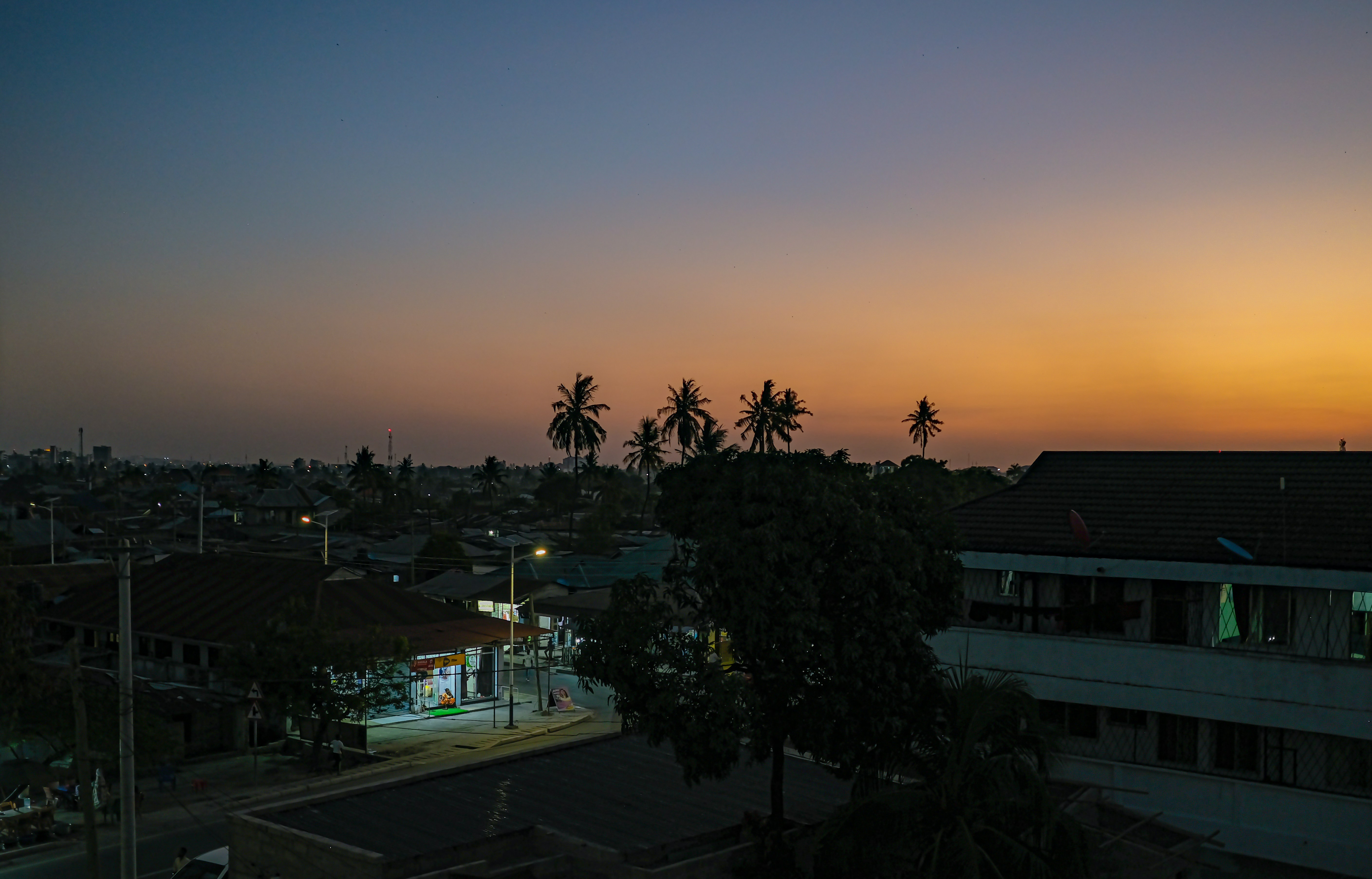 Dusk Over Palm Row: A Quiet Coastal Town Sunset
