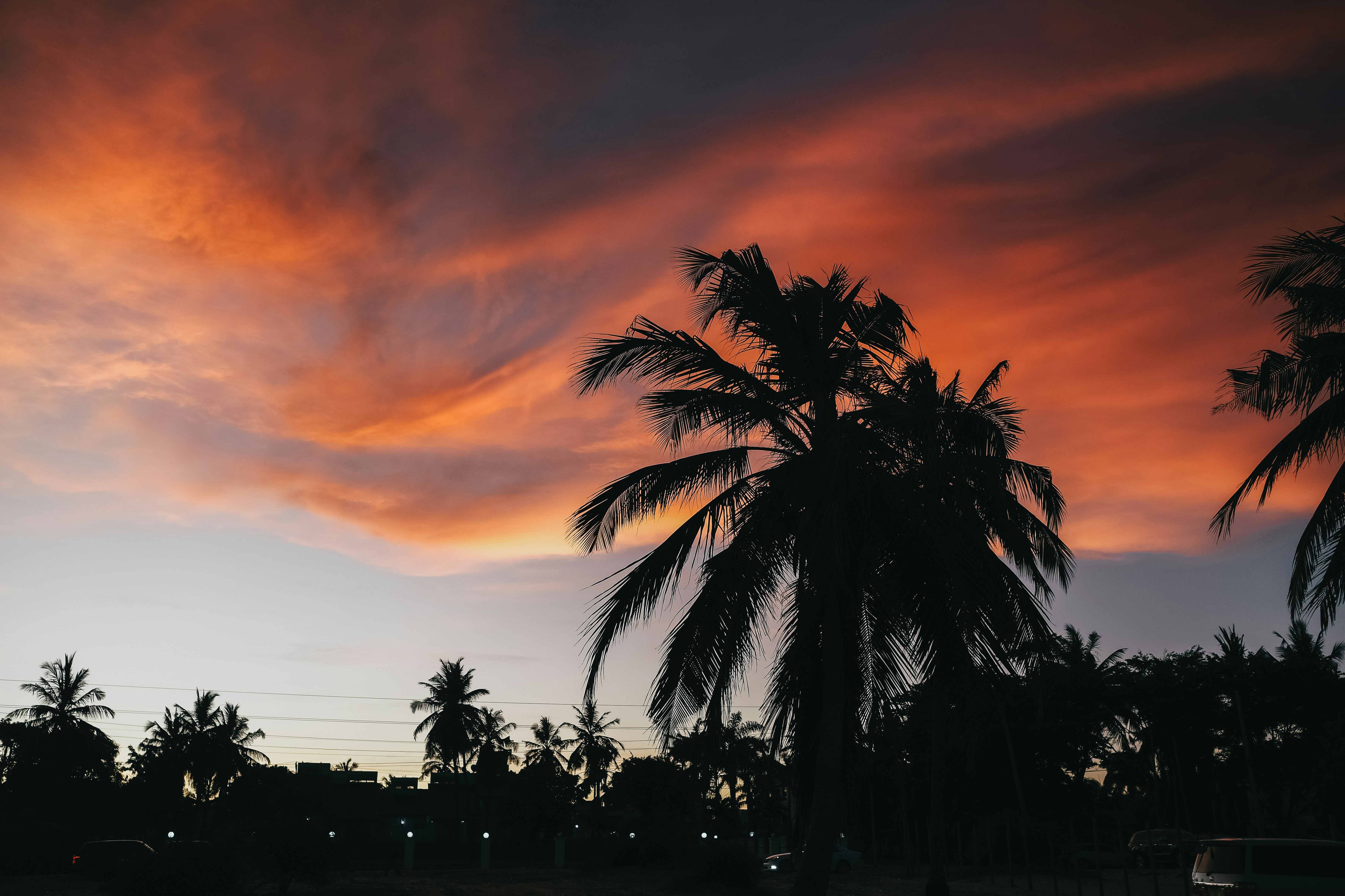 Silhouette of palm trees against a fiery tropical sunset