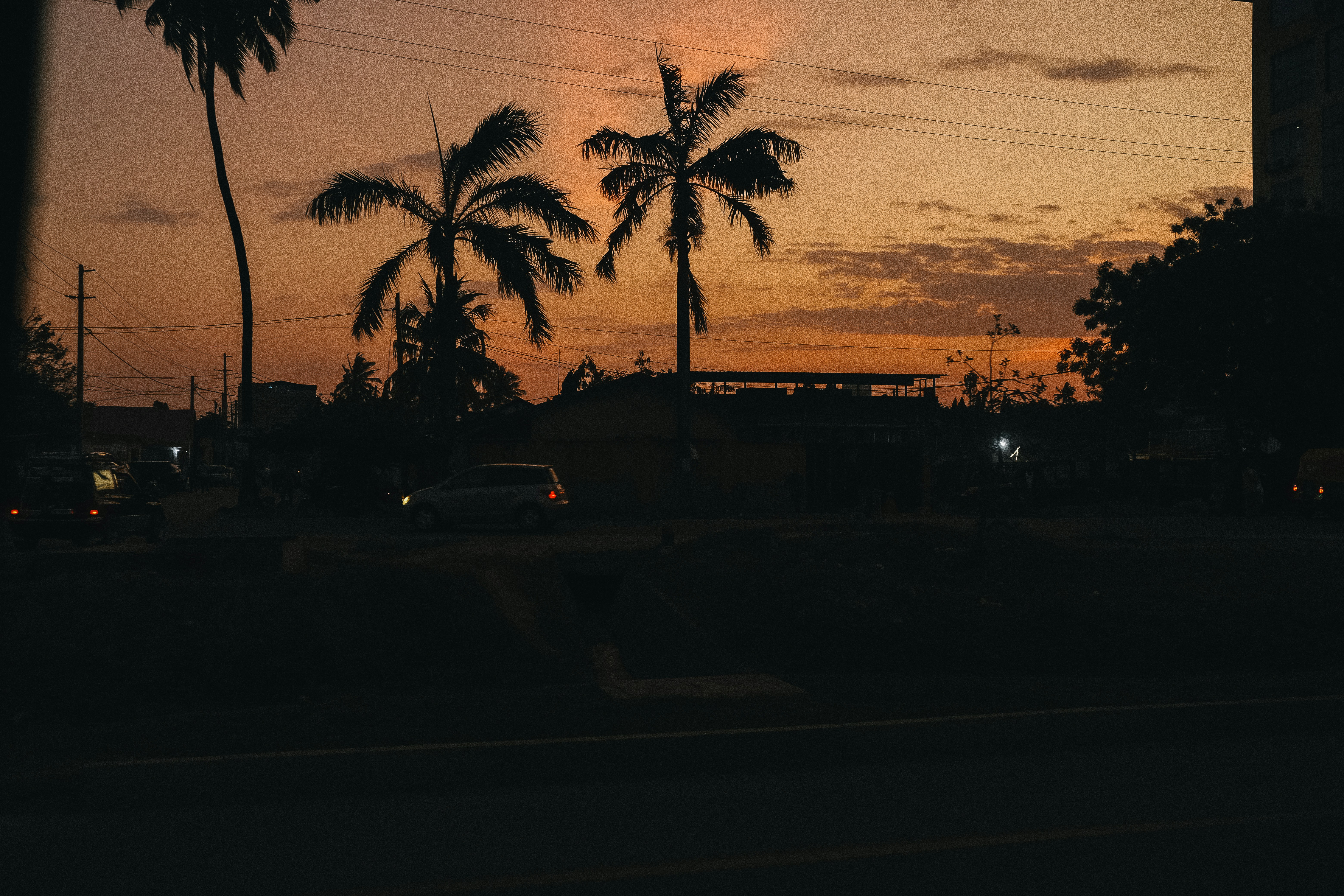 Silhouetted Palms at Dusk Over a Quiet Street