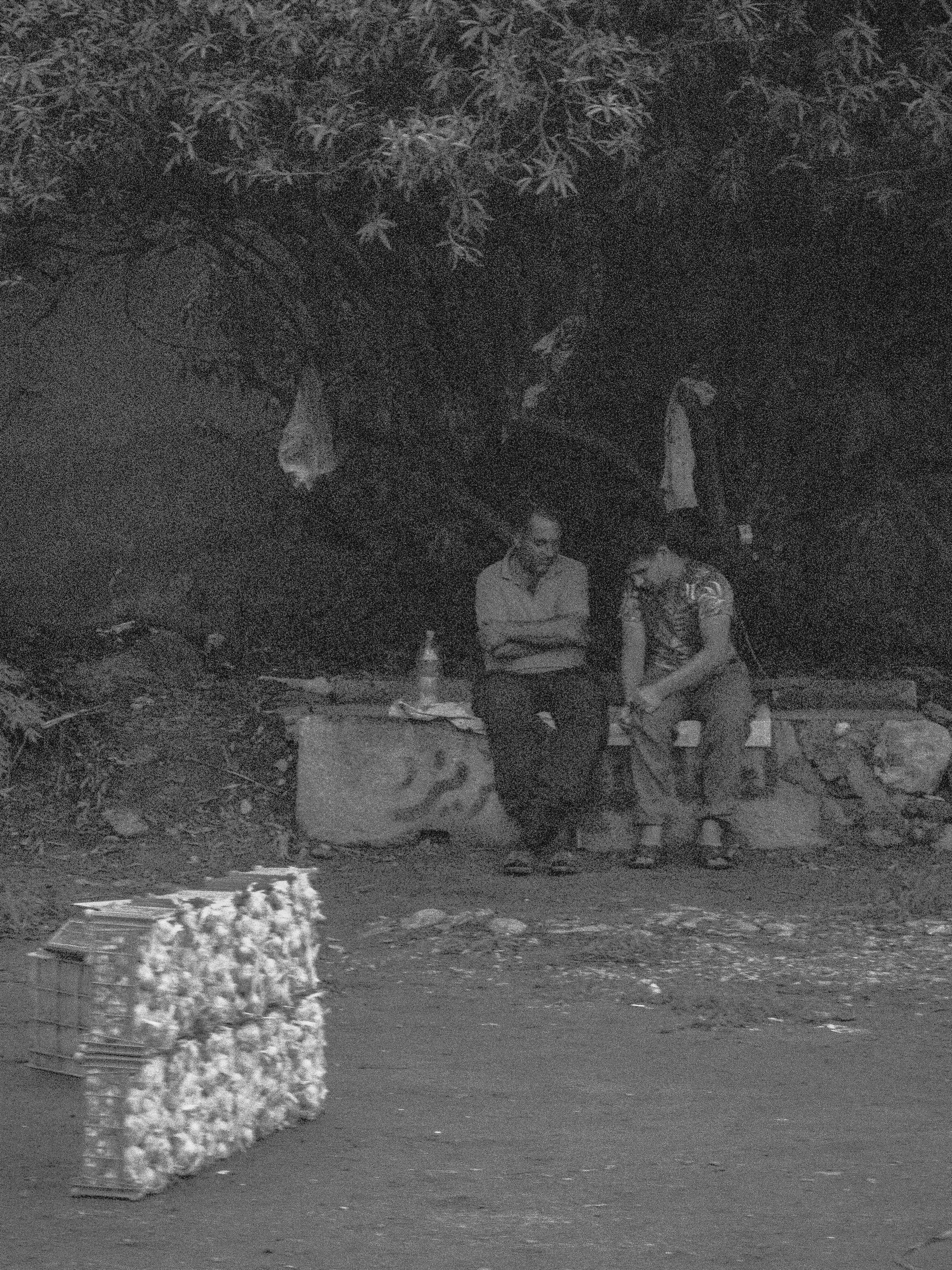 Wafer Crate Vendors at Dusk