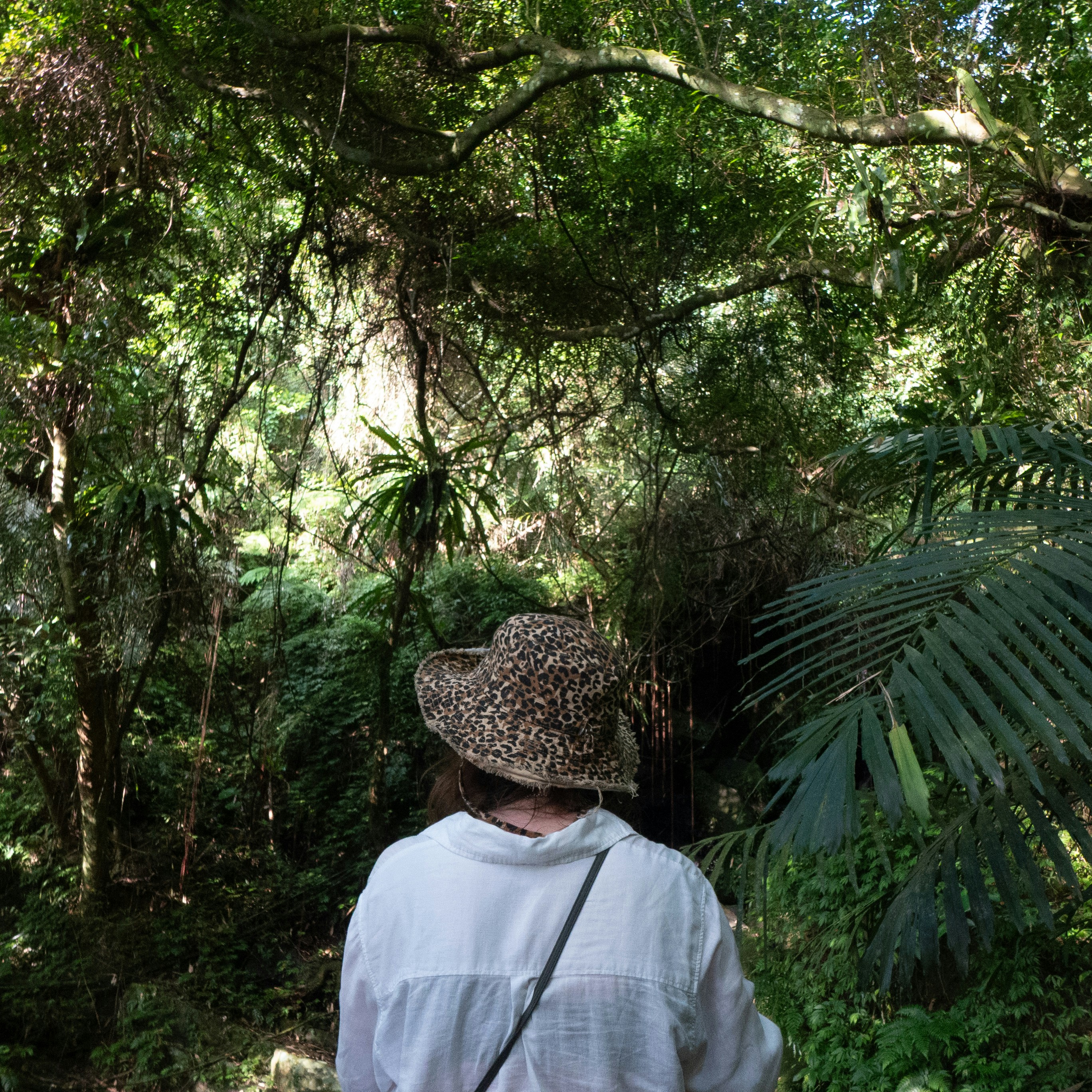 Forest Explorer in a Leopard-Pattern Hat