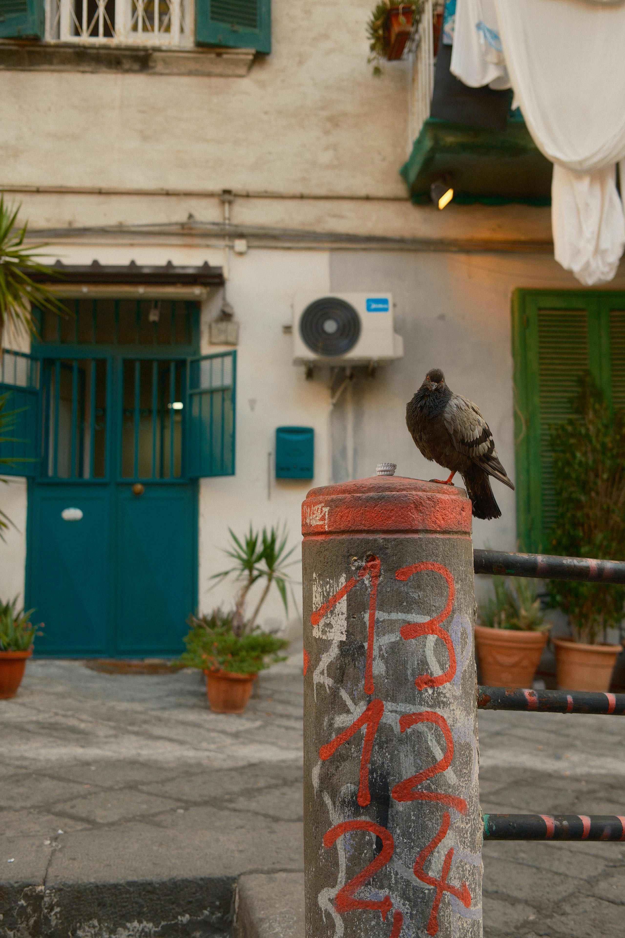 A pigeon perched on a concrete bollard with red graffiti in a courtyard