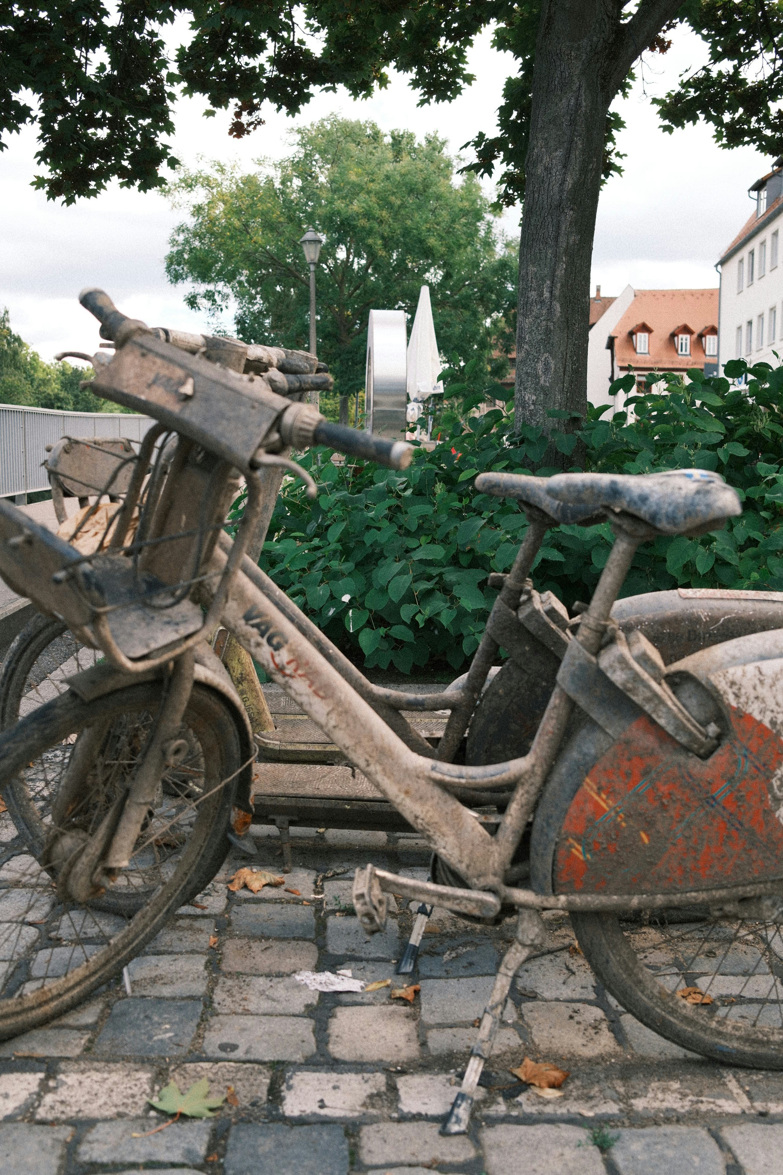 Dusty urban relics: a pair of forgotten bicycles Amid cobblestones and greenery