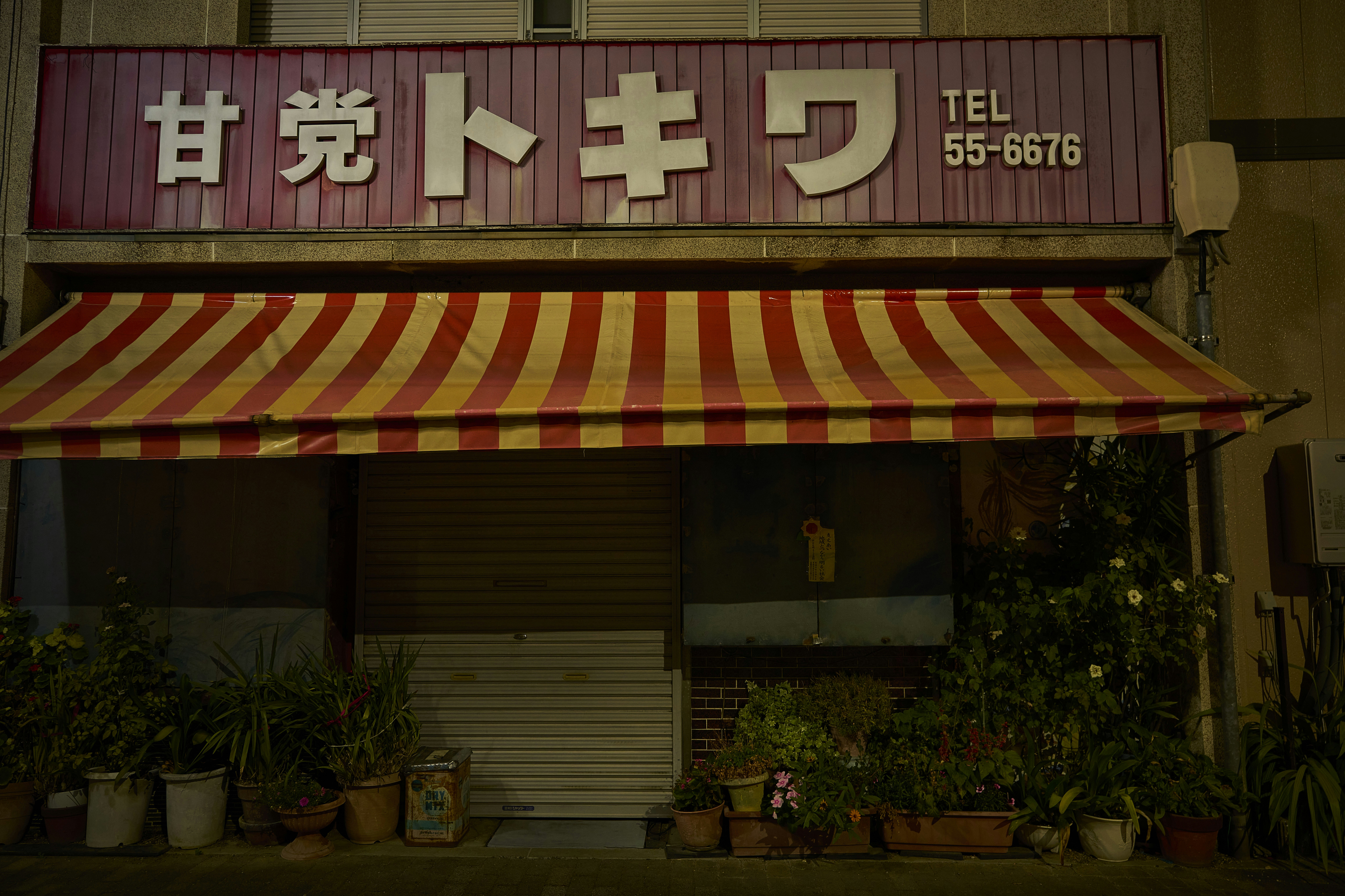 Deserted storefront with striped canopy and potted plants under faded sign