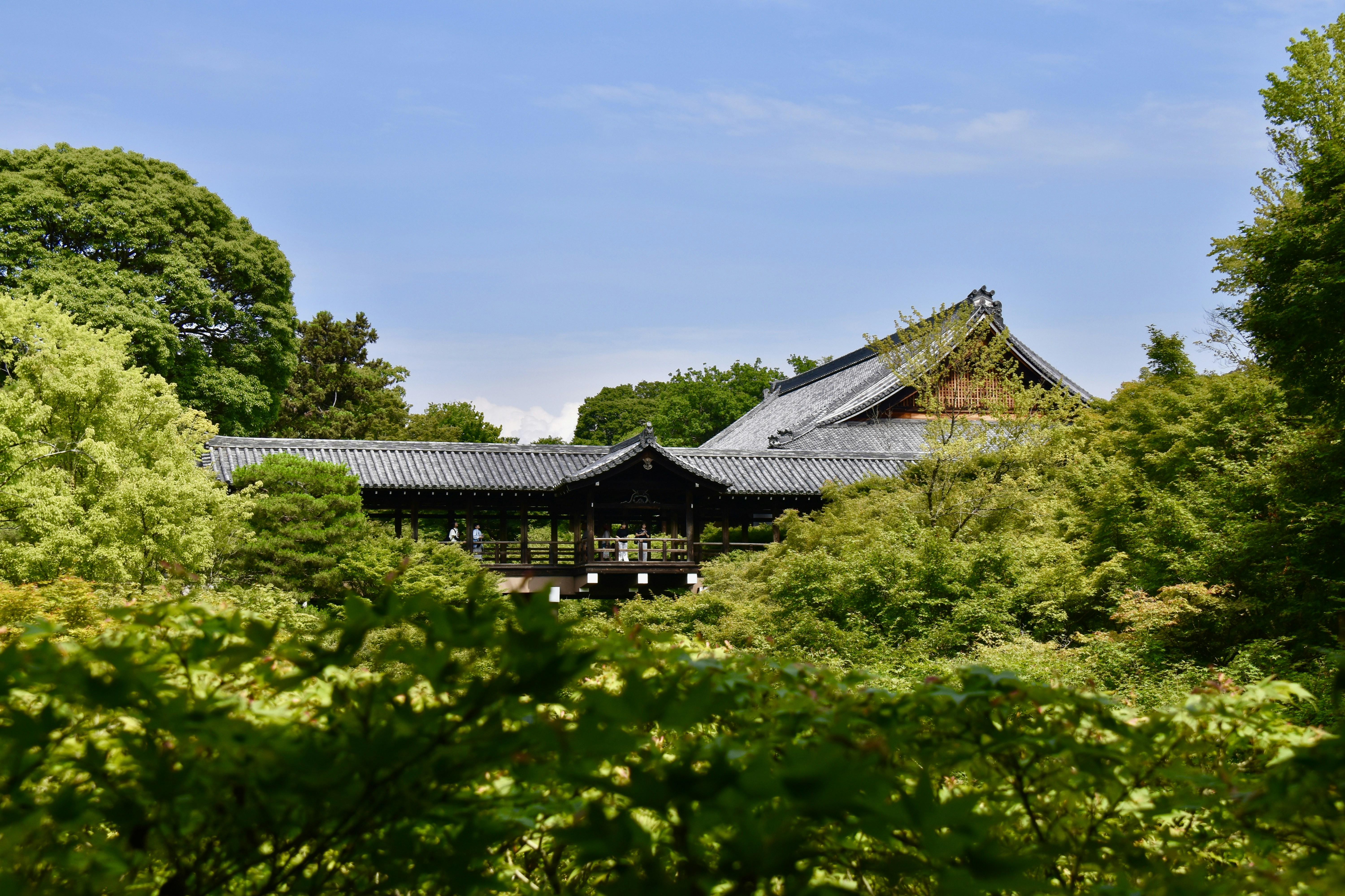 Hidden Temple Through Spring Foliage