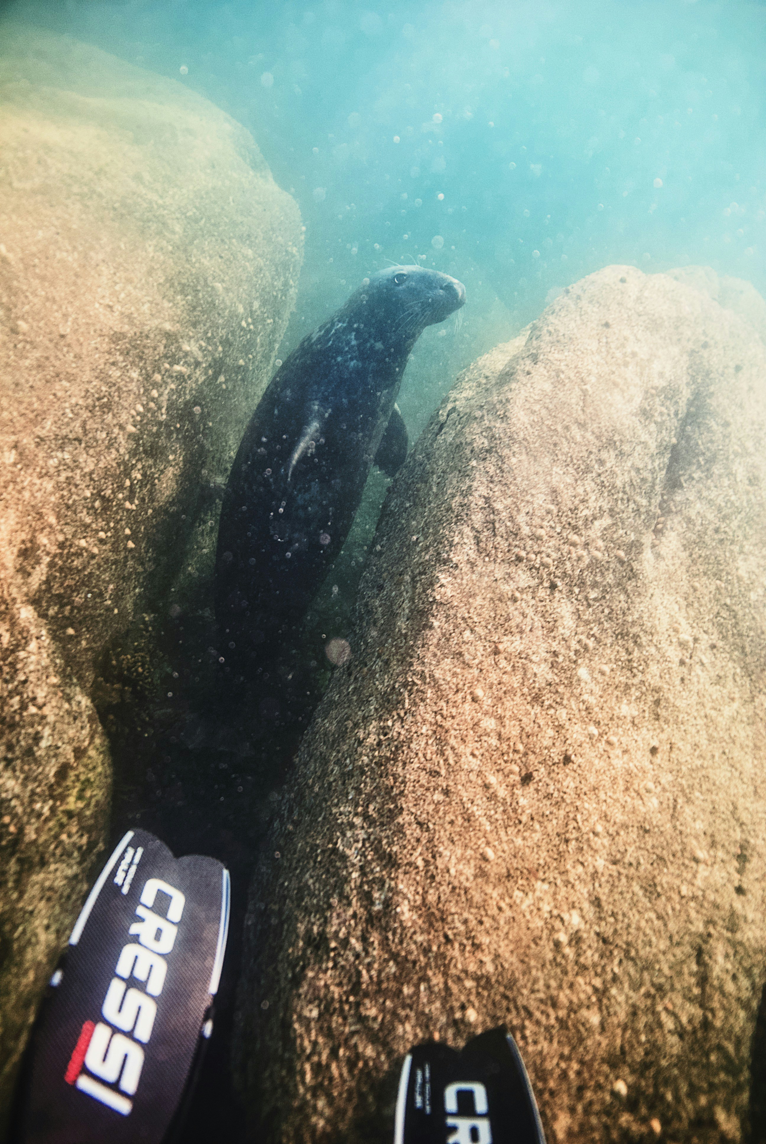 Silent Glide Between Granite Formations: A Diver’s Eye View