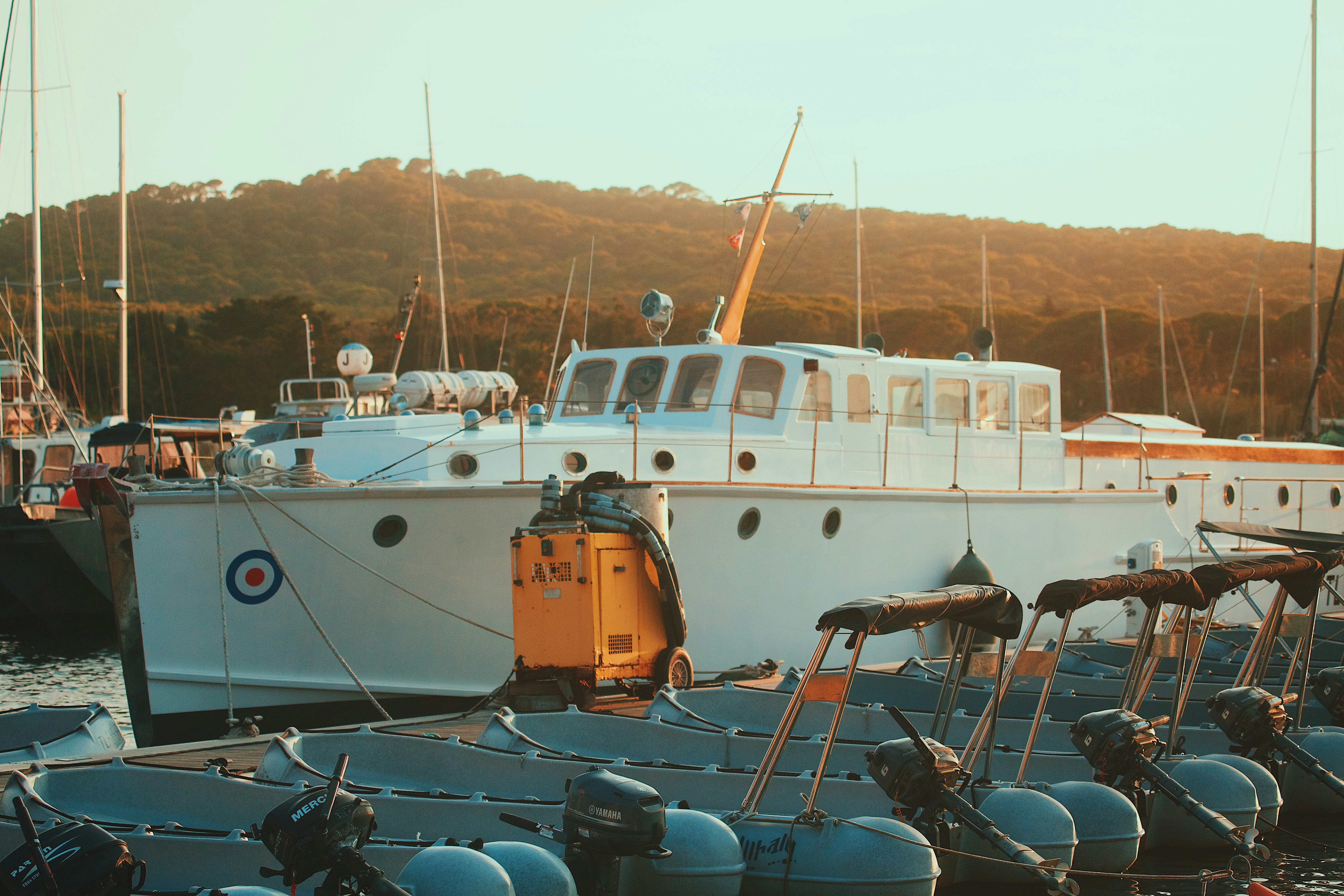 Harbor Bridge: A Fleet of Boats Resting at Dusk