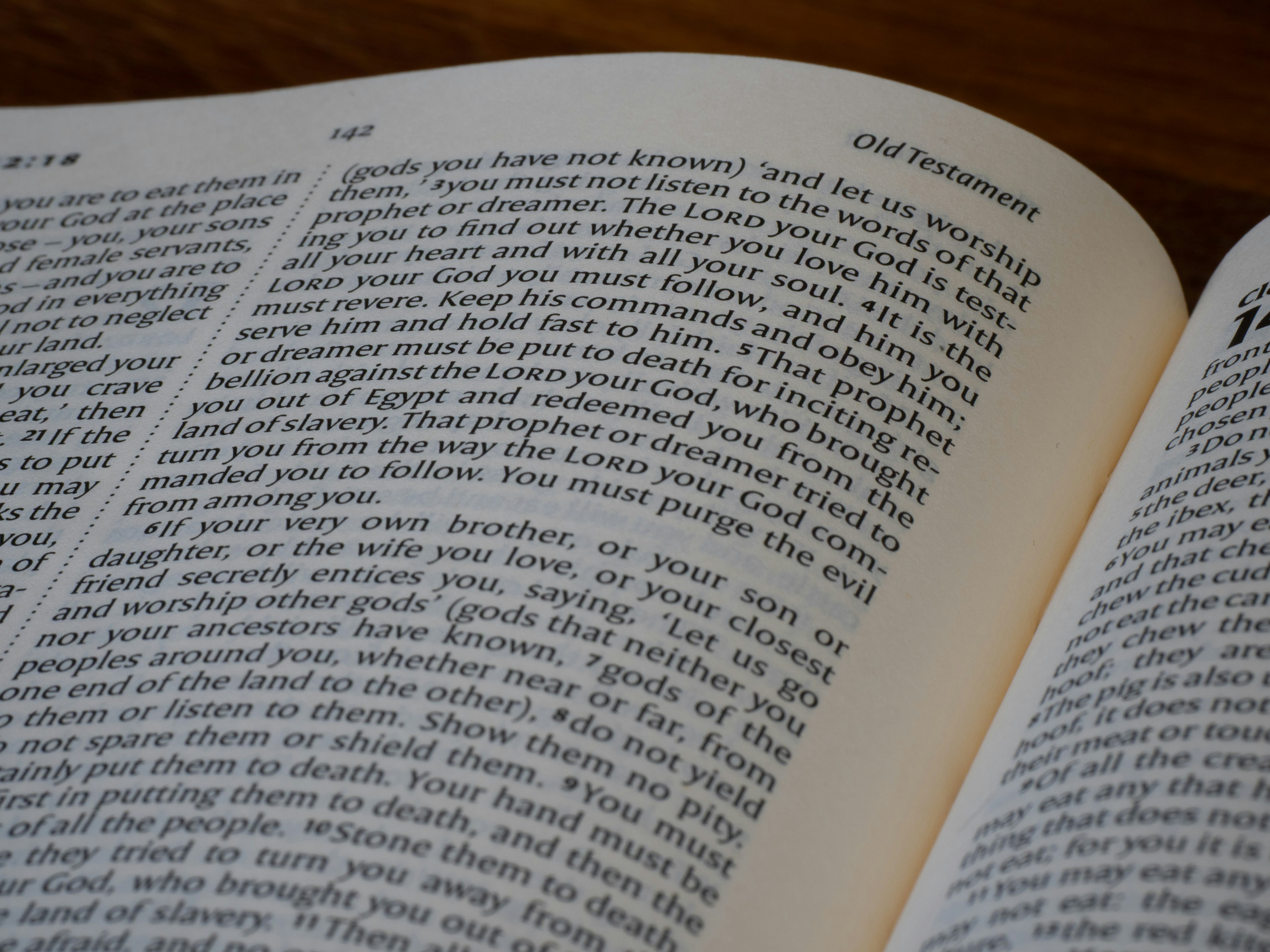 Close-Pressed Wisdom: A Glimpse Across Folded Pages