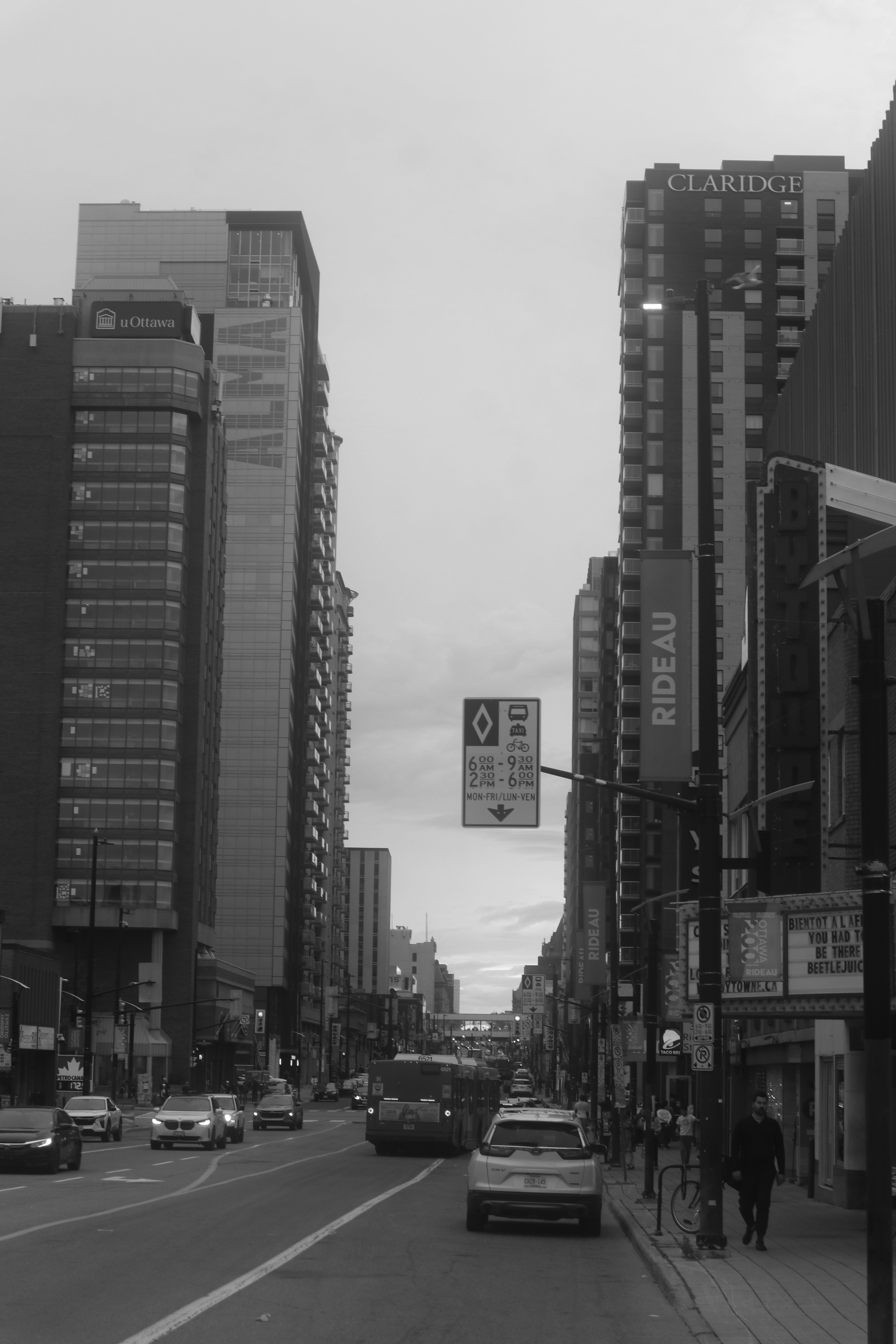 City Boulevard in Monochrome: A Shaded Corridor between Skyscrapers