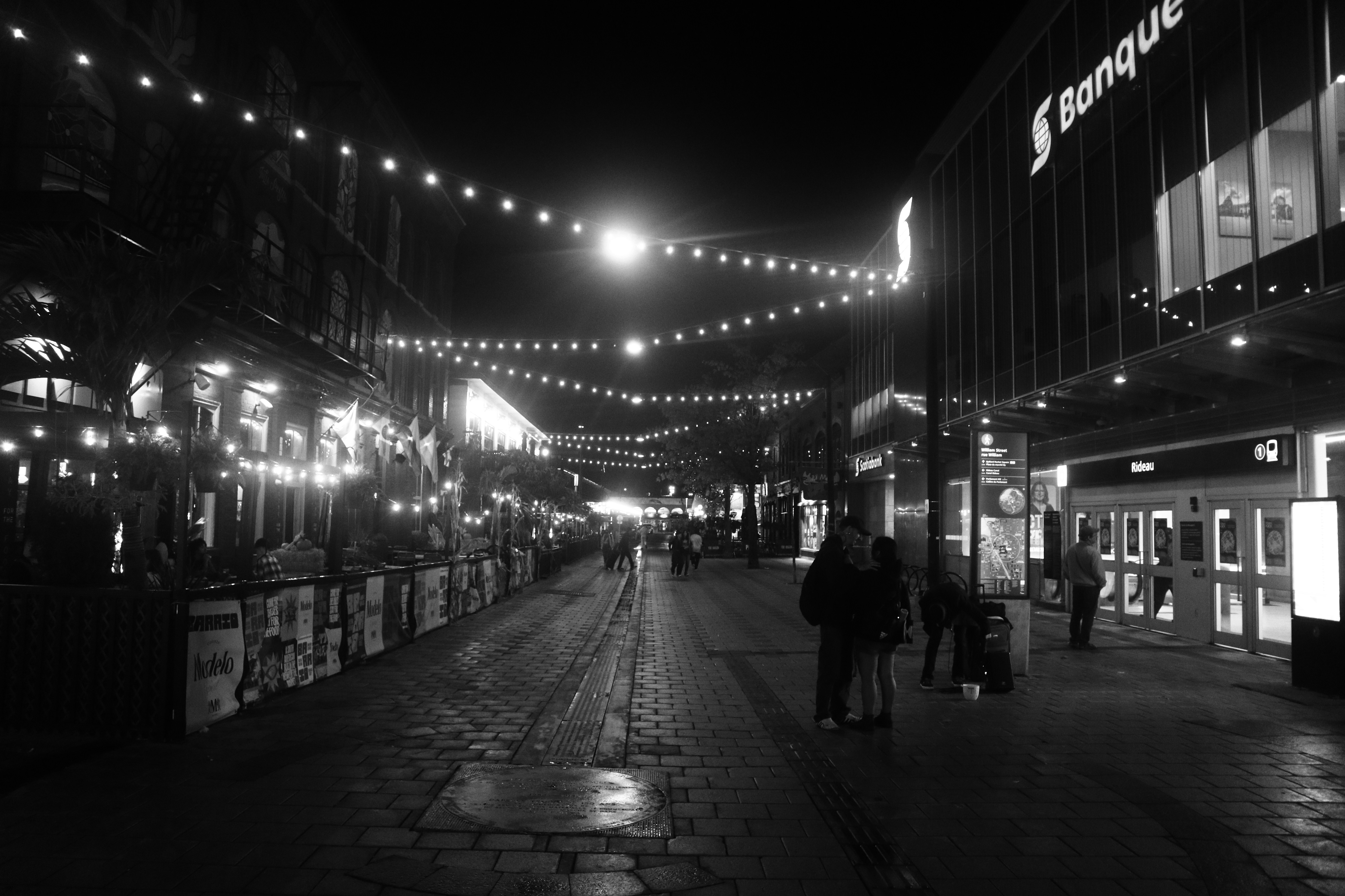 Night Market Lane: Strings of Light and Quiet Footsteps