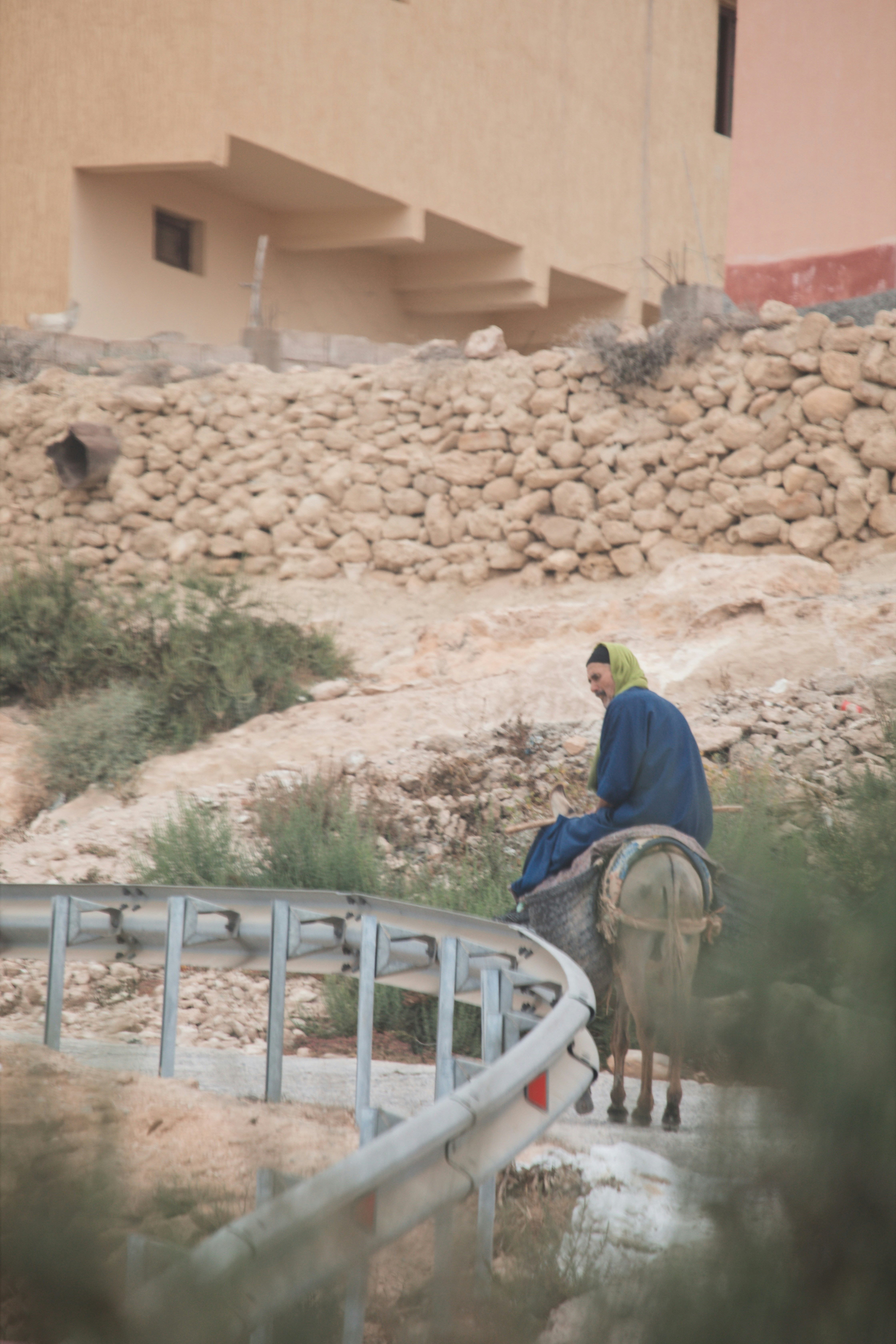 Beside the Desolate Road: A Pony Traveler in Blue