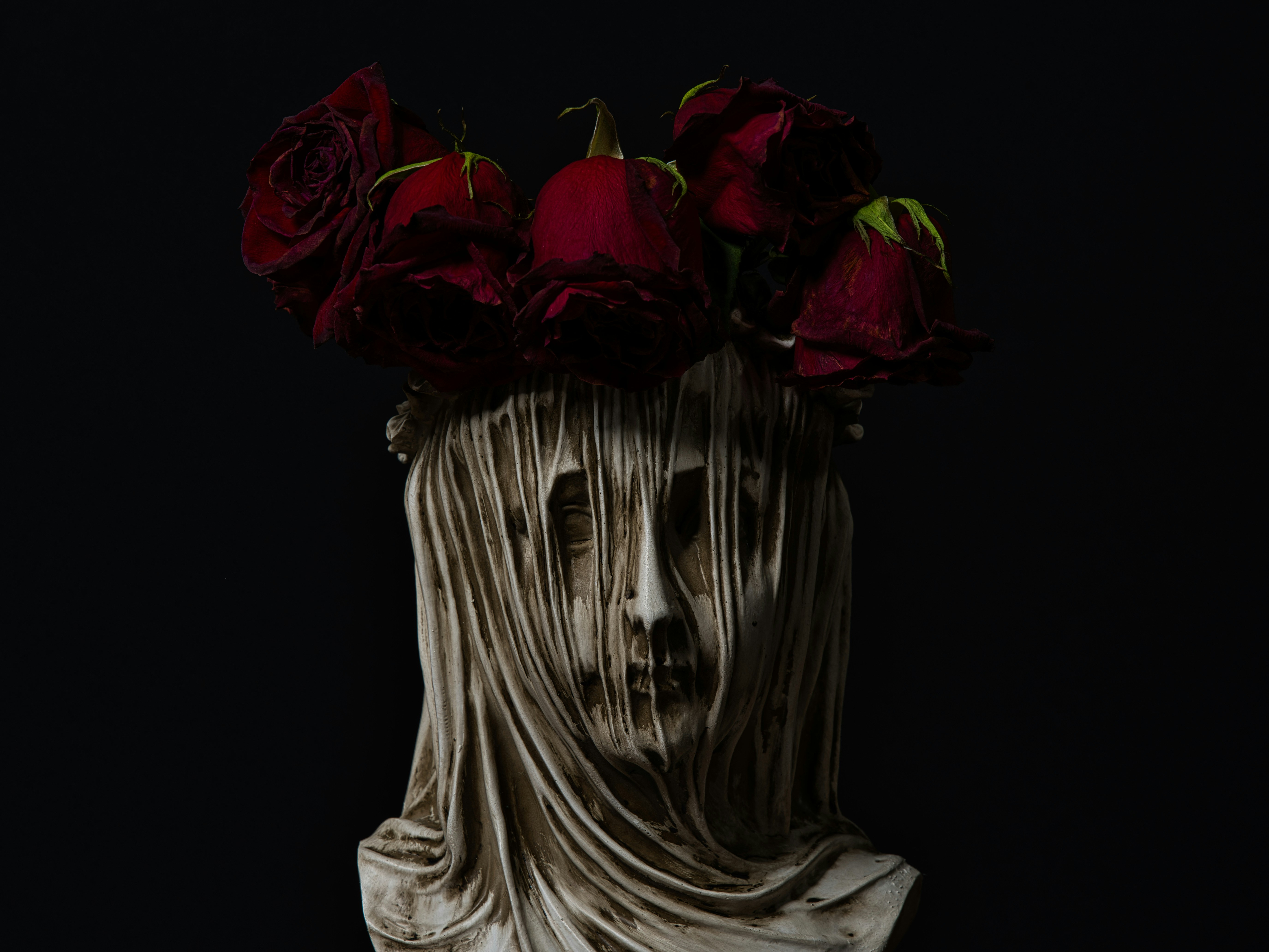 Veiled Grief: A Rose Crown Hidden in Silk and Shadow