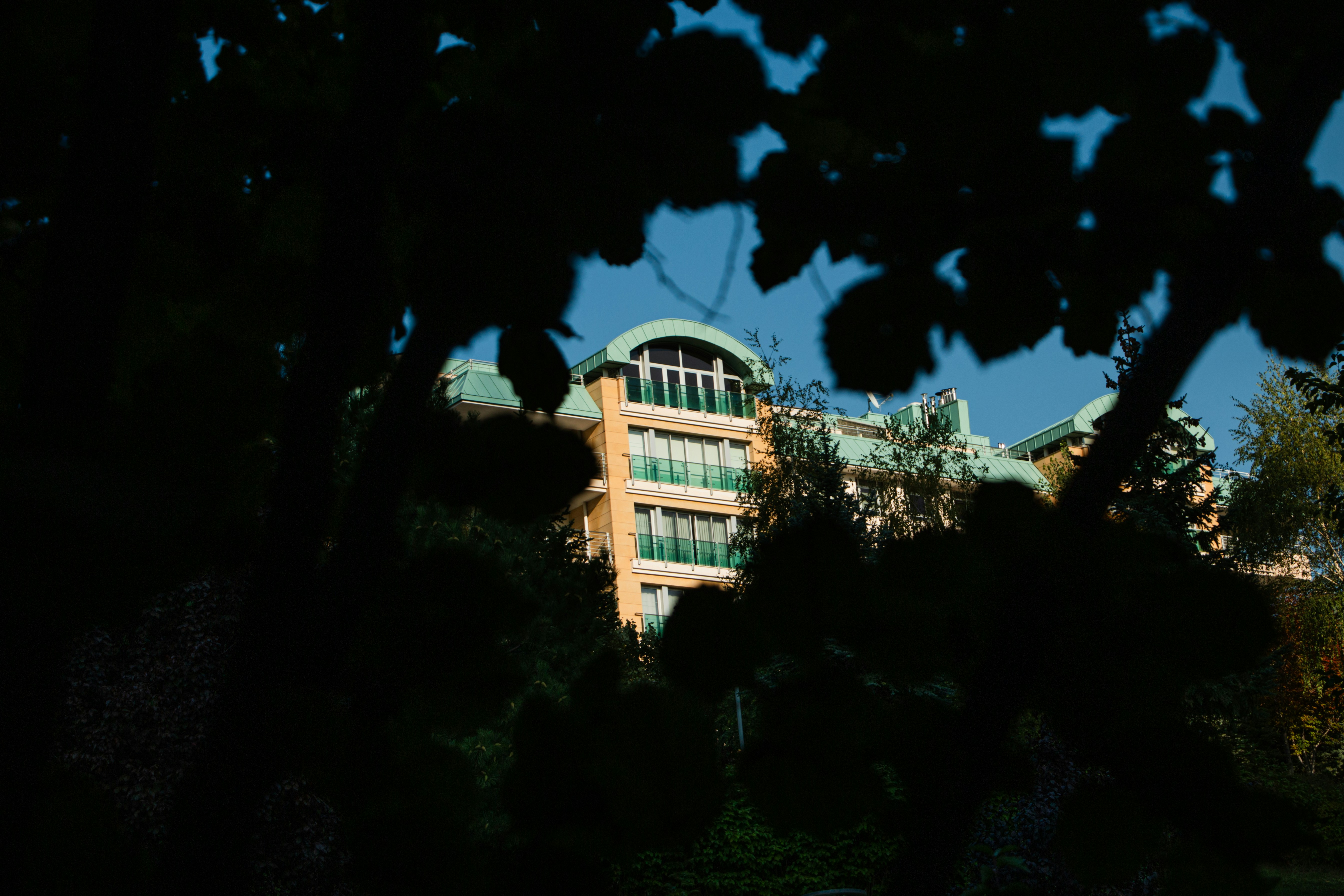 Hidden Courtyard: Sunlit Facade Peeking Through Midnight Foliage
