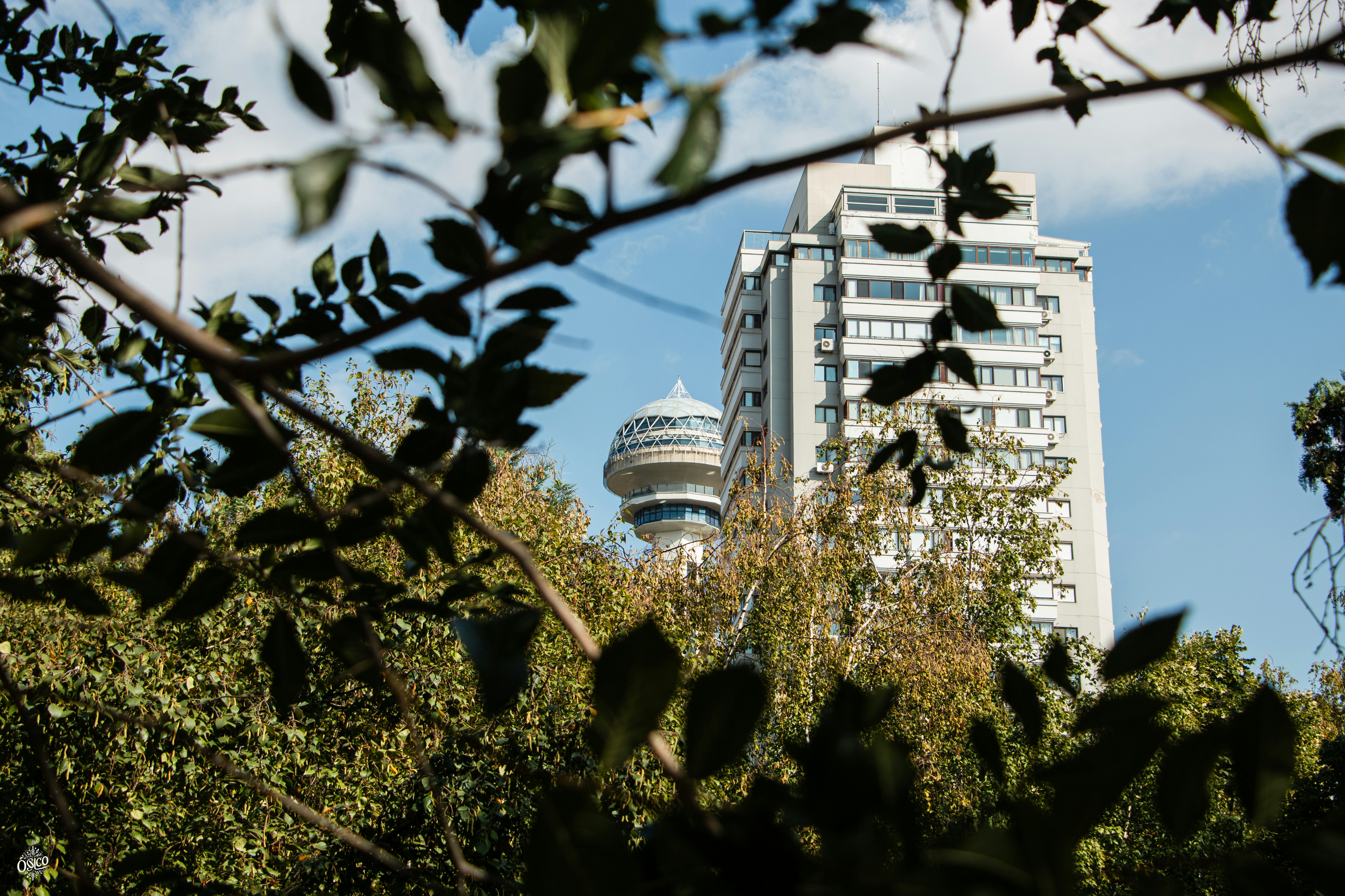 Skyline Pierces the Framed Foliage