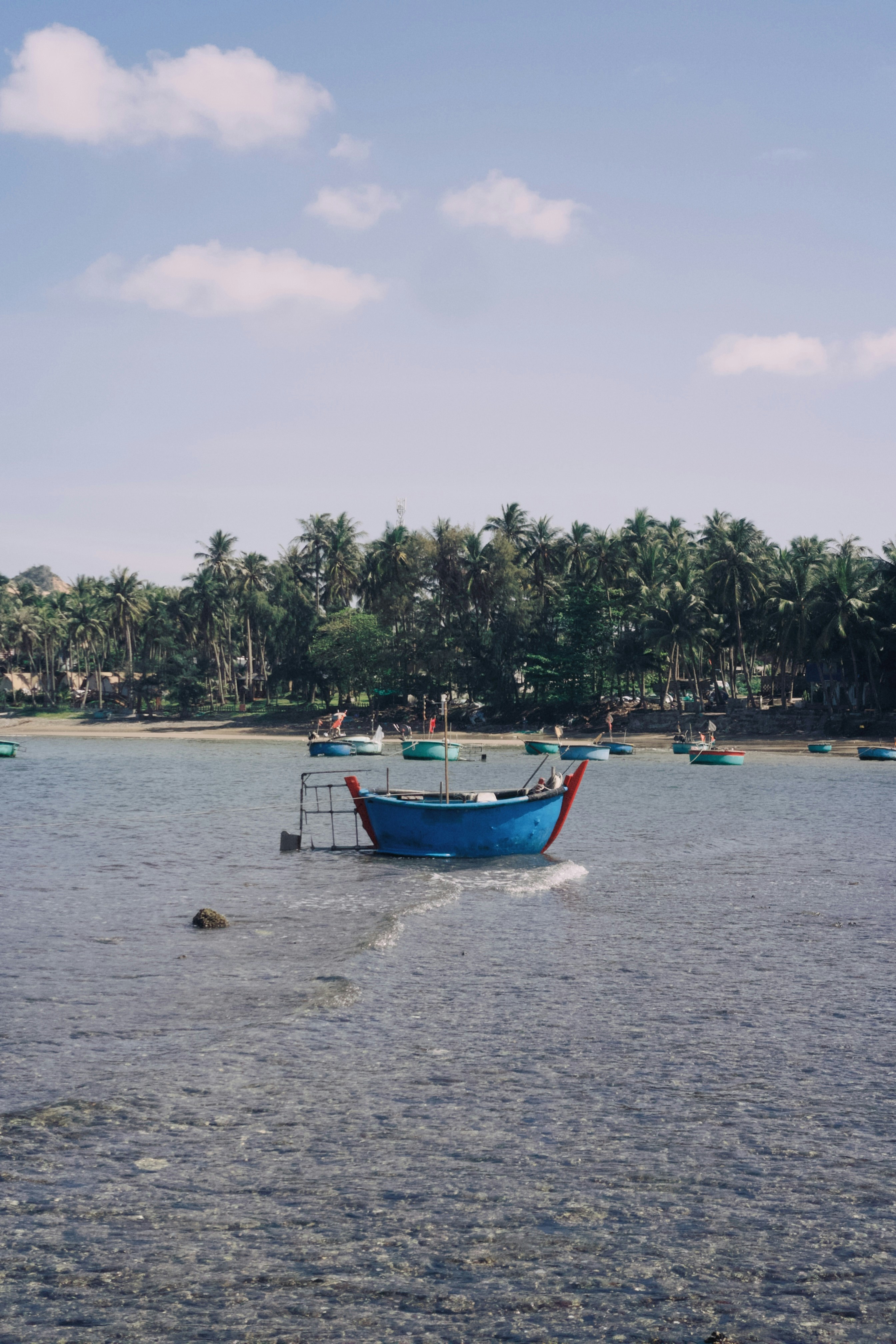 Blue Boat Anchored near a Palm Riverside