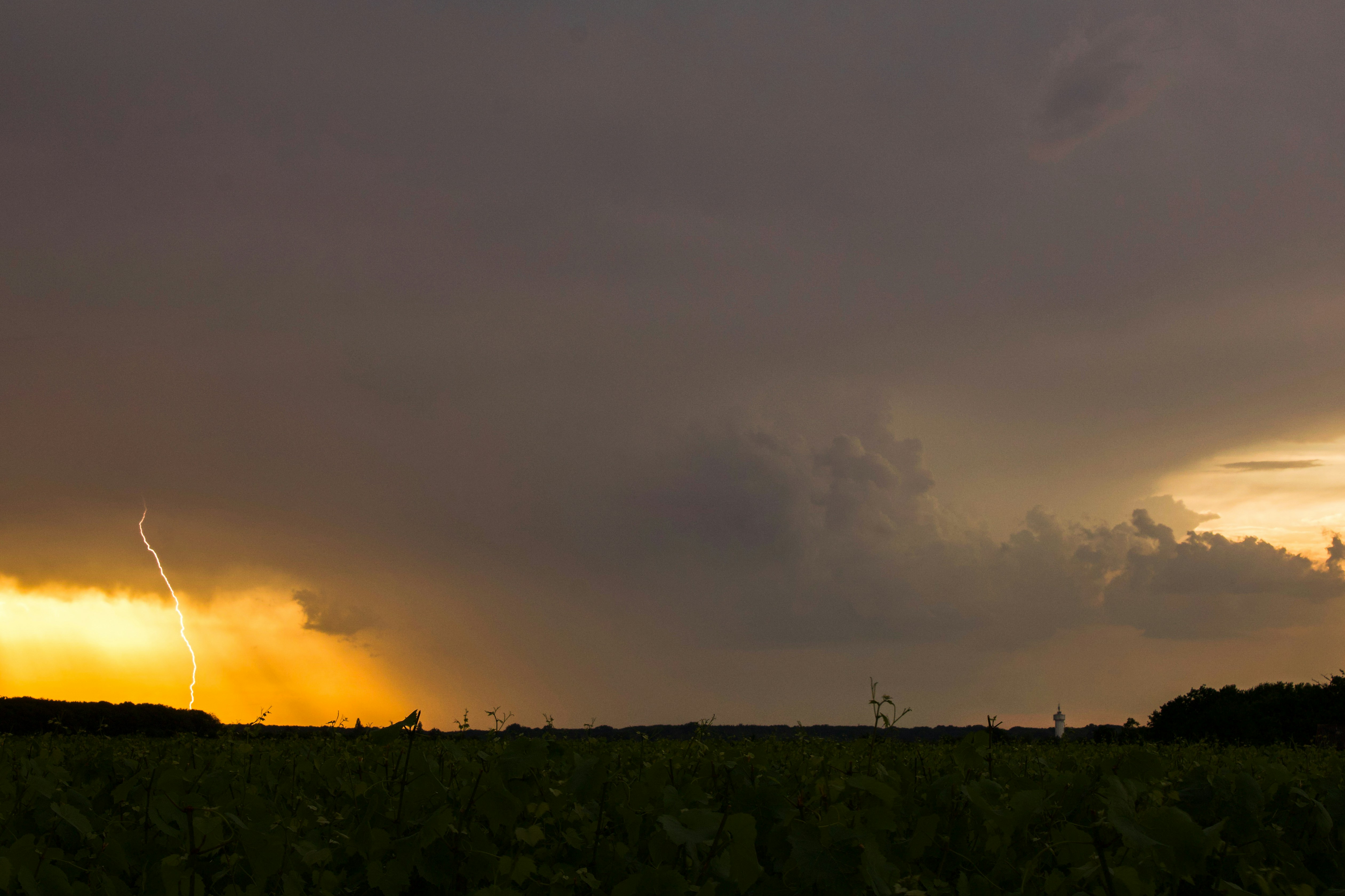 Storm Front Over a Quiet Horizon