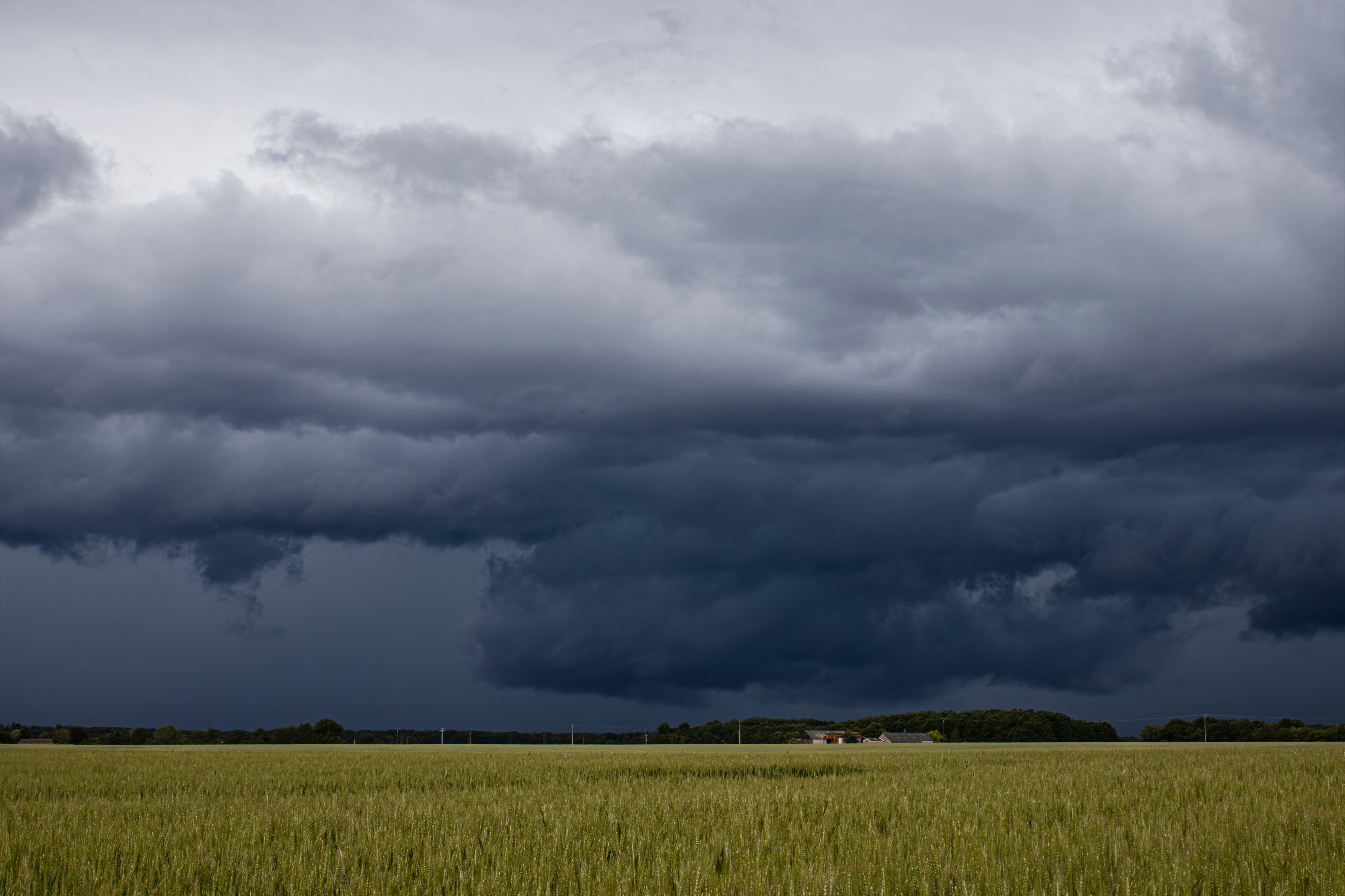 Storm Front Over the Golden Field