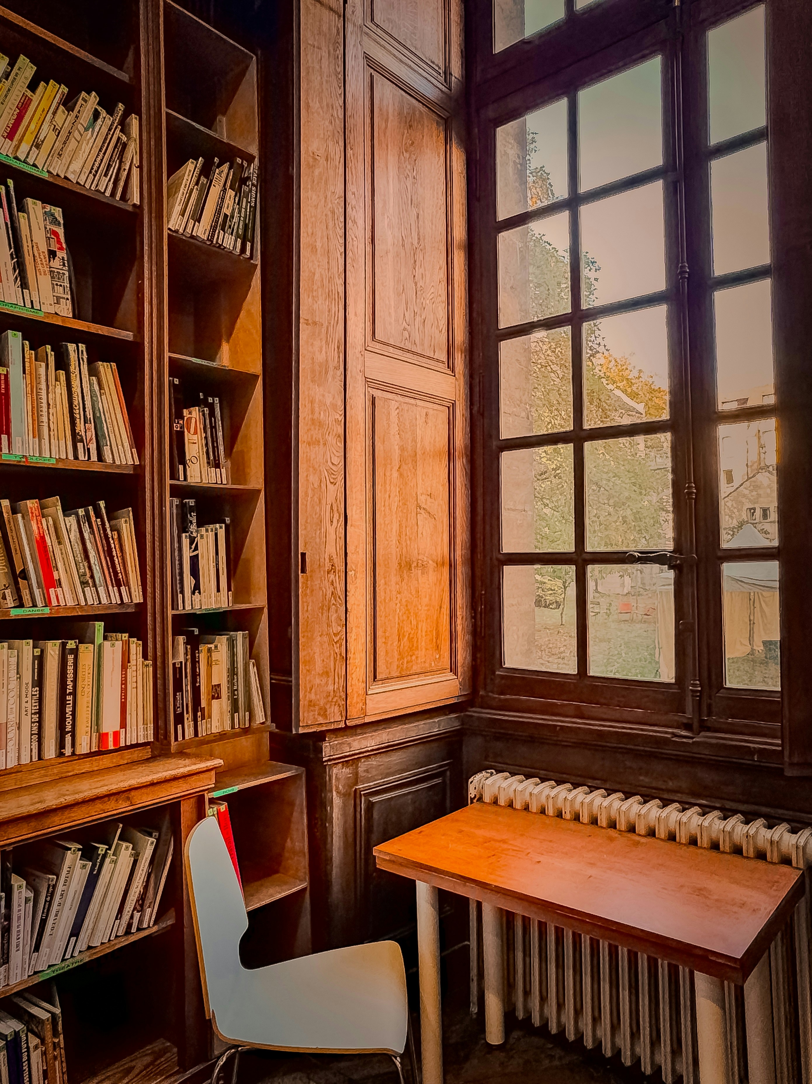 Quiet Corner of the Library: Sunlit Window and Reading Nook