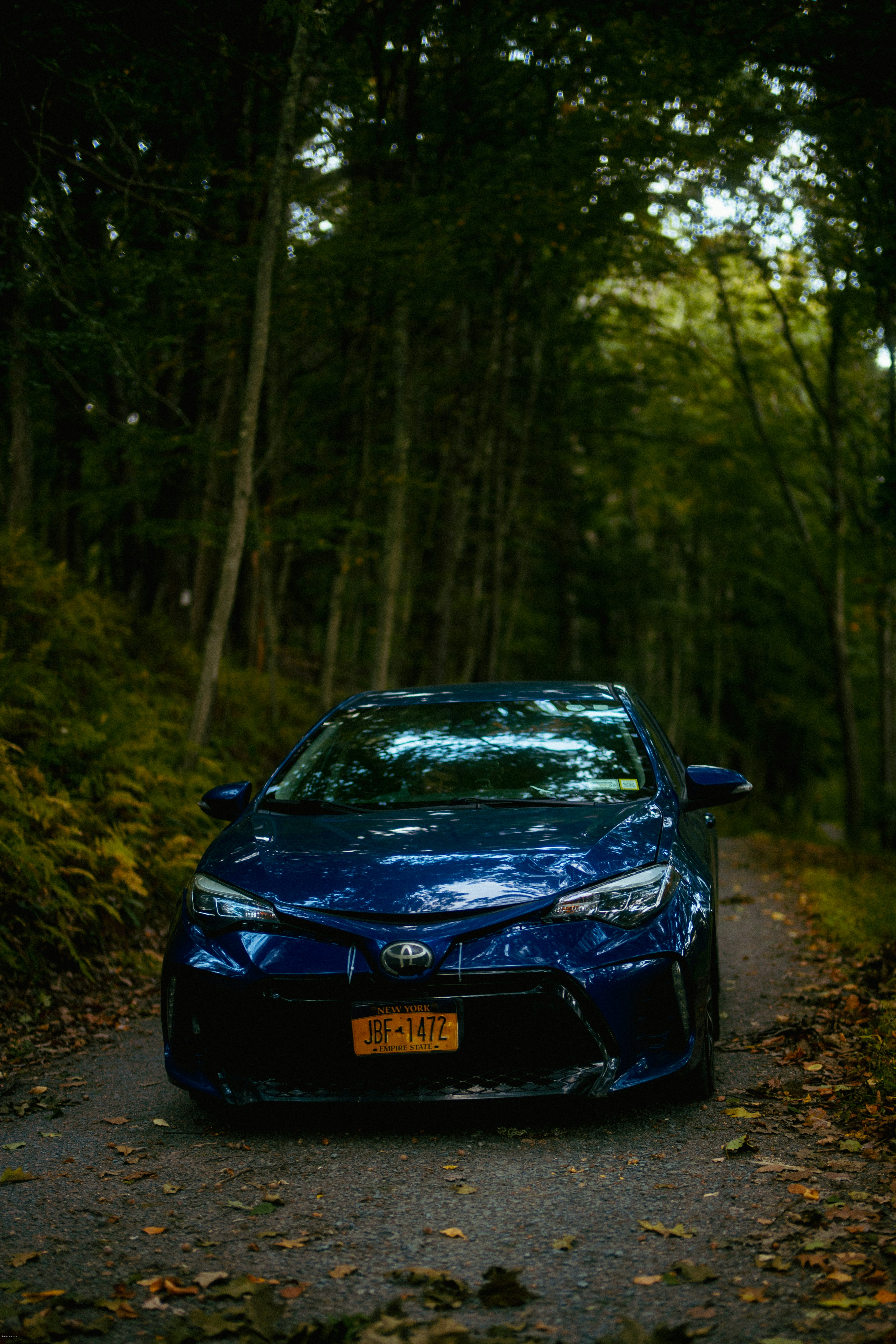 Blue Toyota on a Leaf-Strewn Forest Road