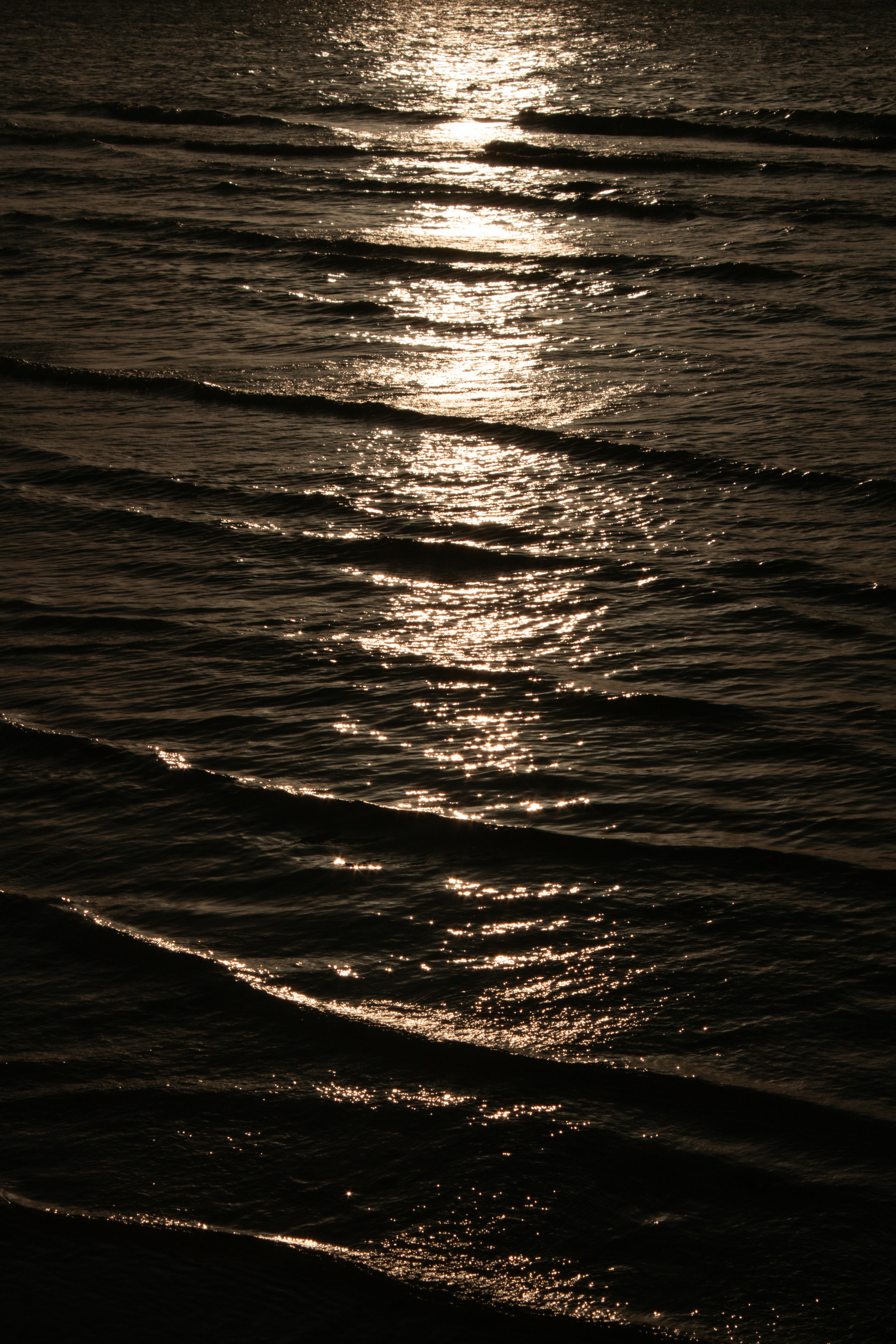 Sunlit Ripples: A Sea of Quiet Glints