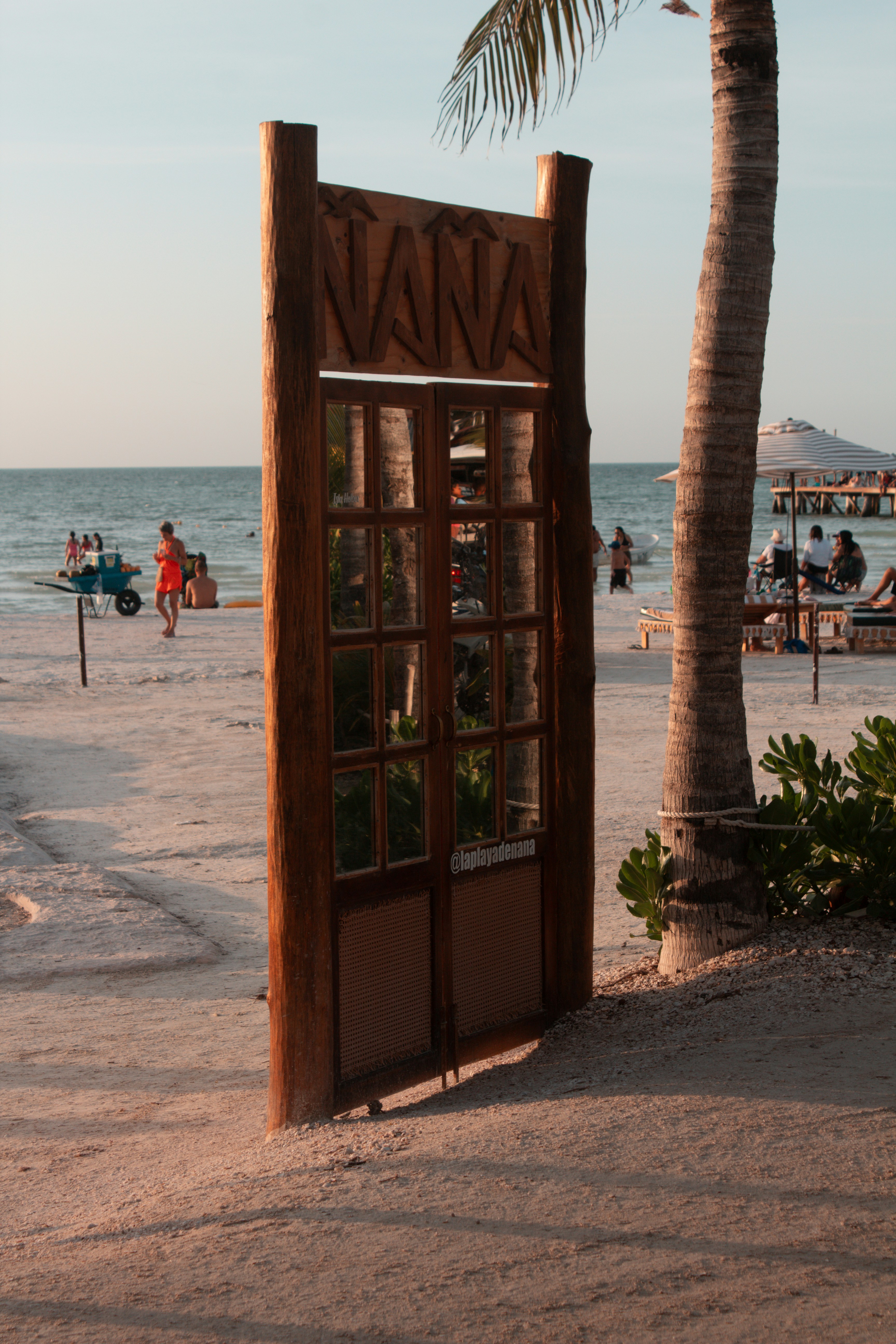 Doorway to the Beach: A Wooden Gate Framing Sea and Palm