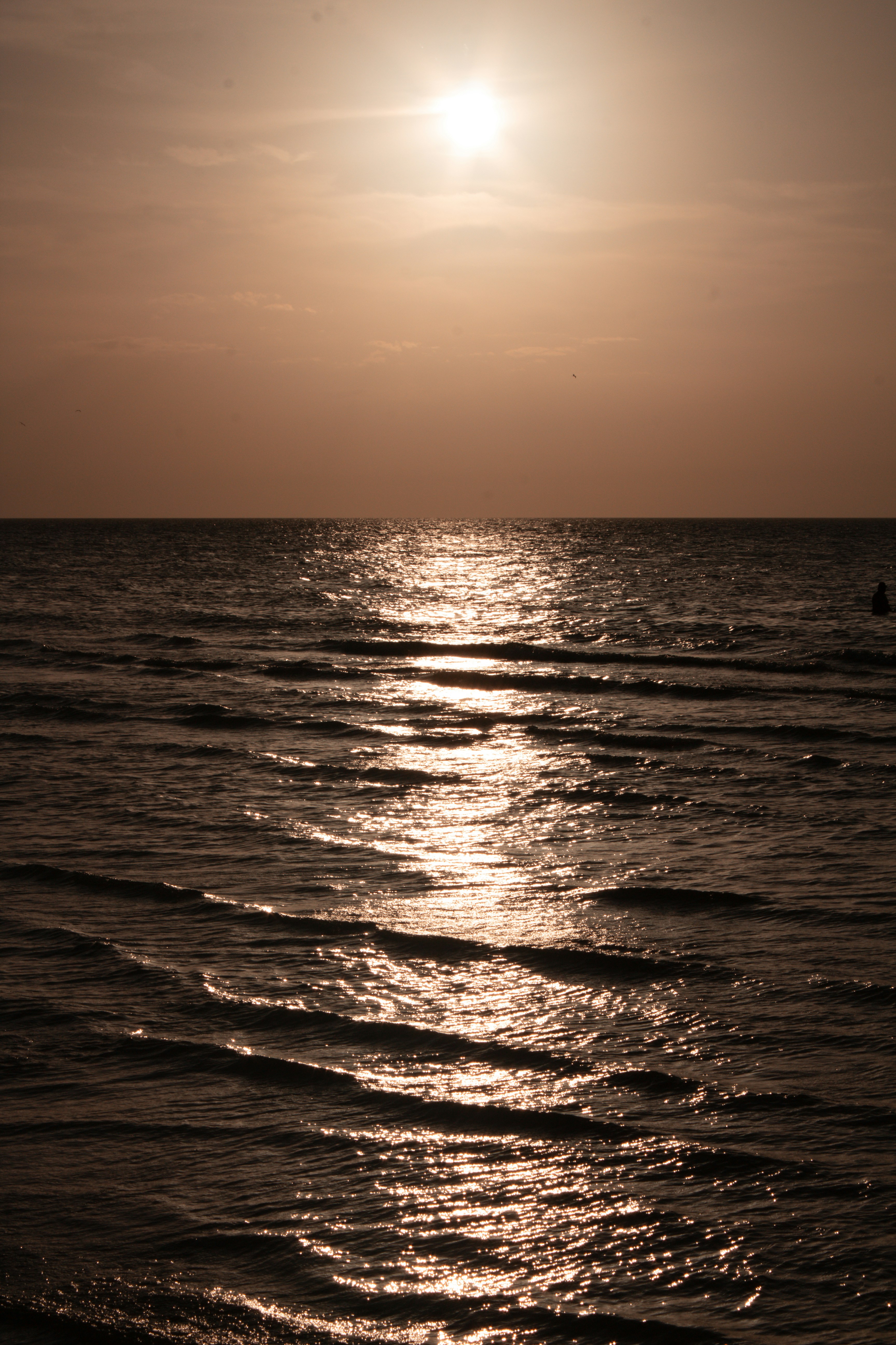 Lofty Horizon: Sunlit Sea in Quiet Sepia