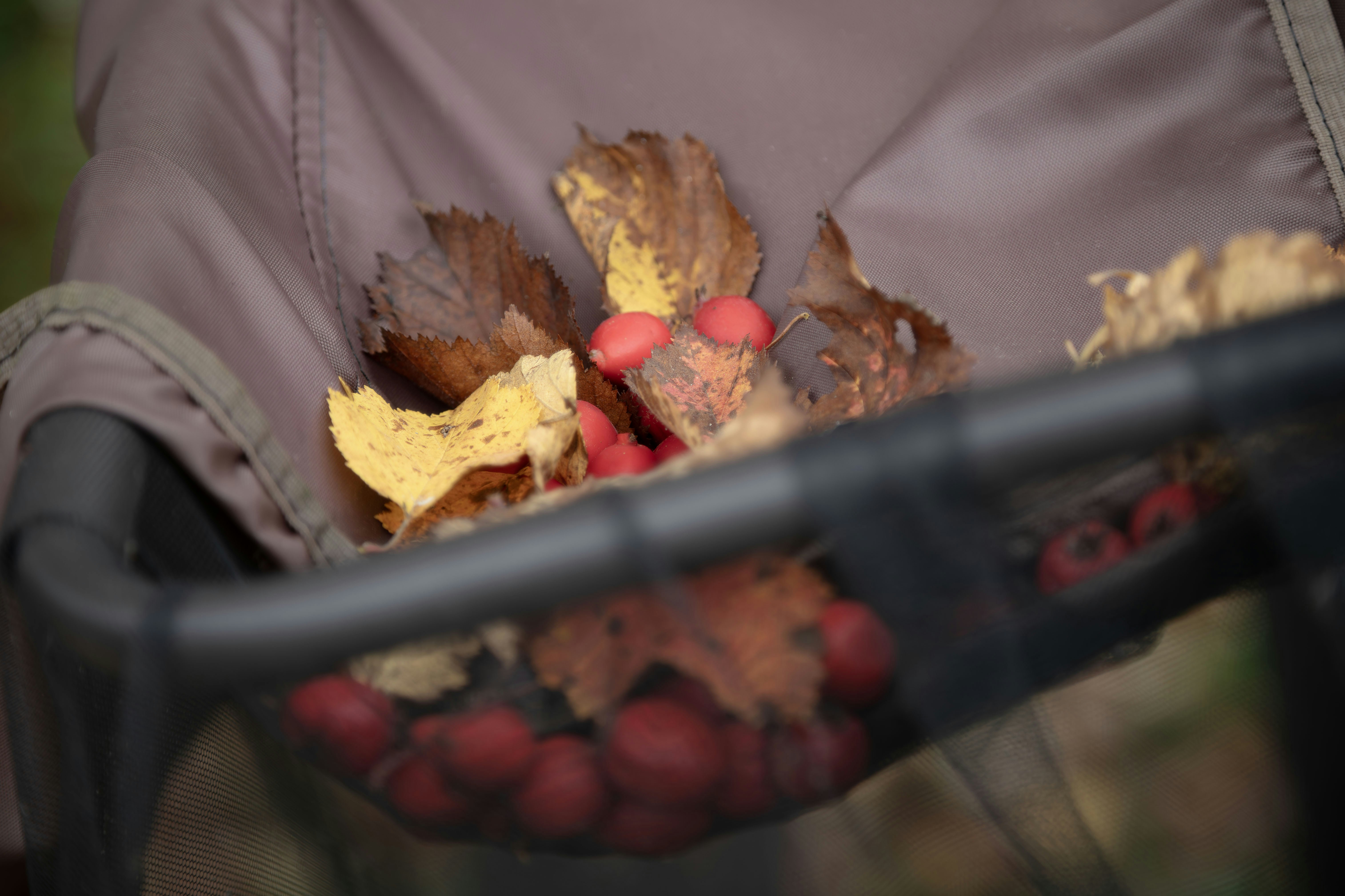 Autumn Baskets: Leaves and Berries in a Mesh Basket