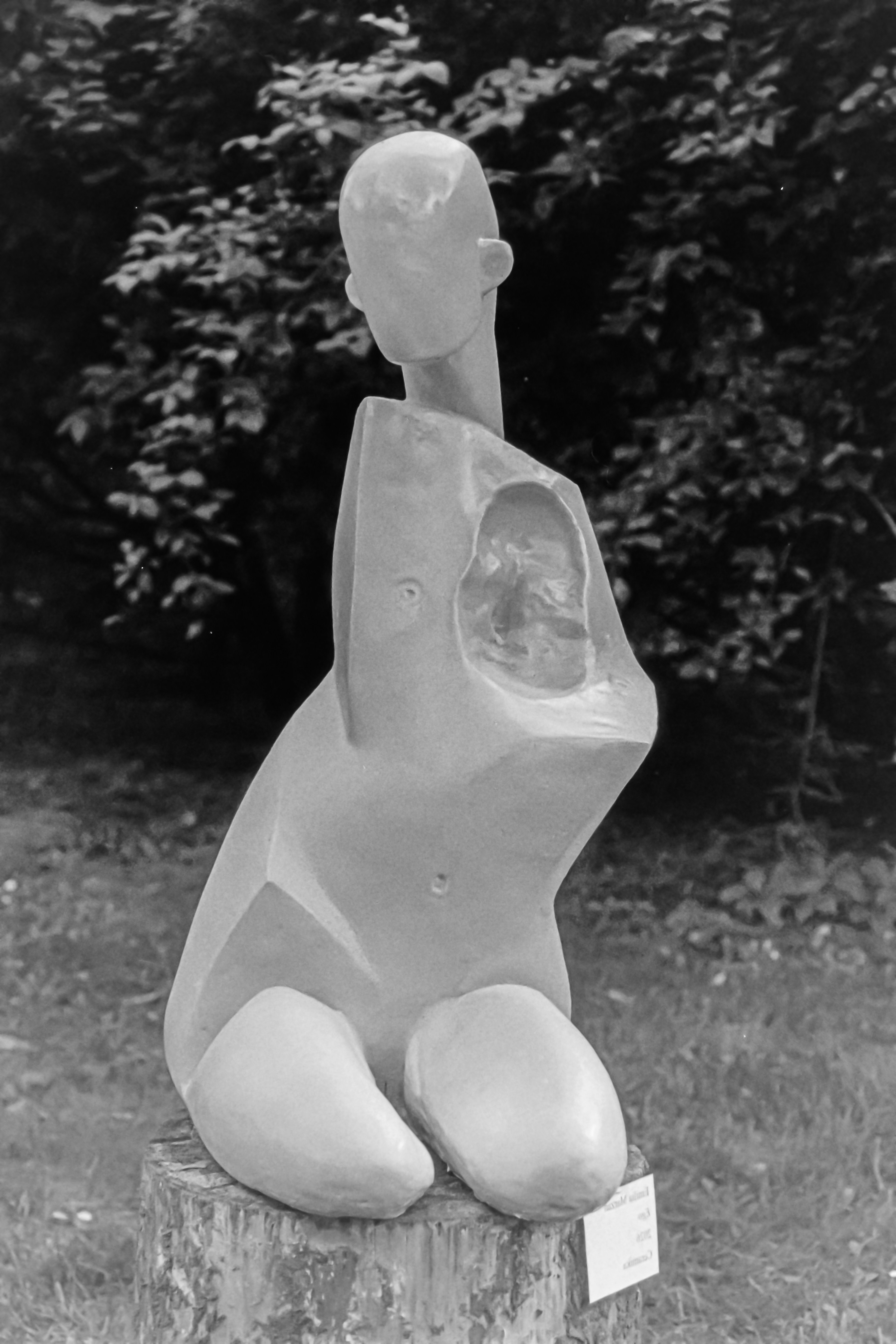 Silent Vessel: Abstract Sculpture Reaching for the Sky