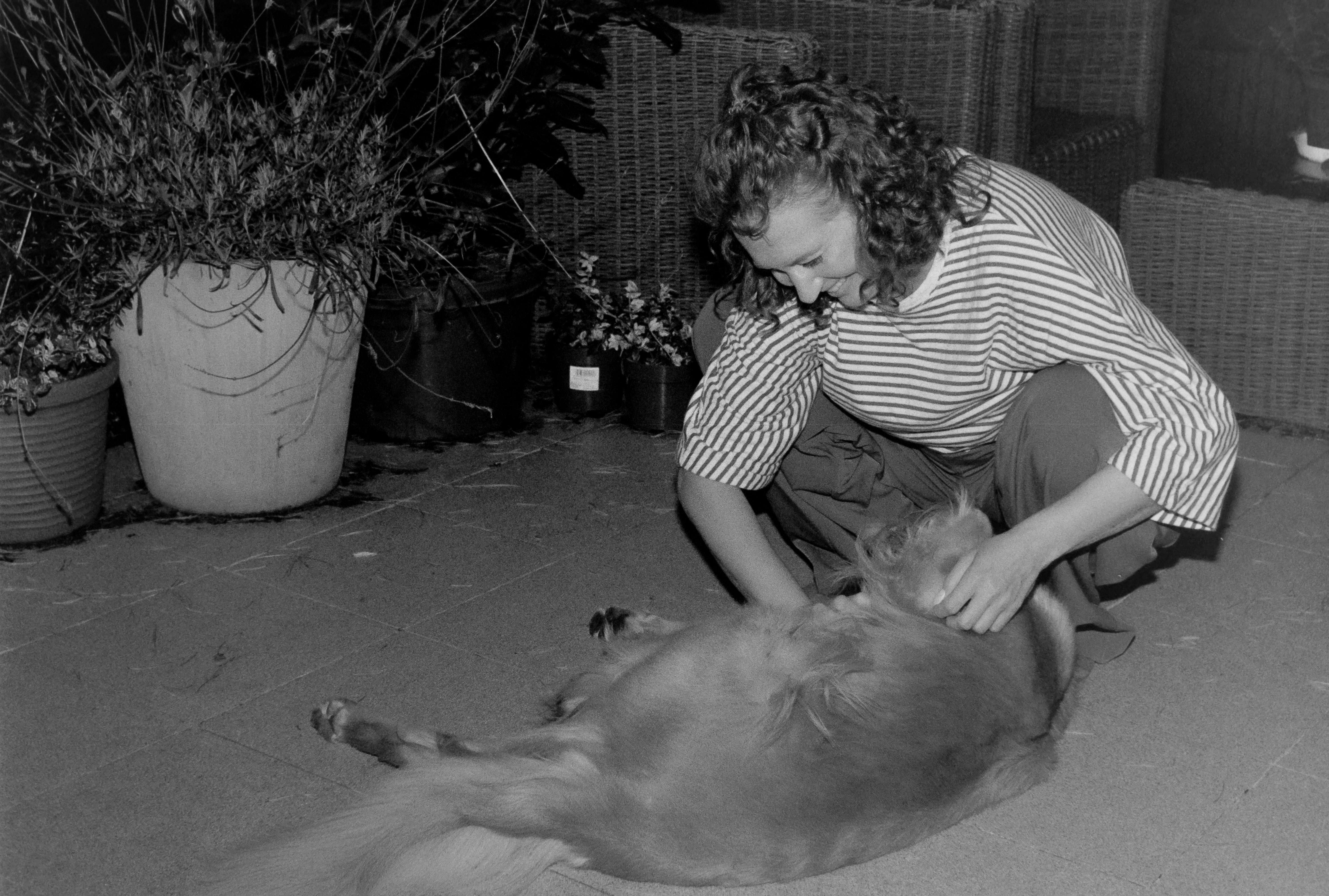 A woman in a striped shirt petting a golden retriever on a patio