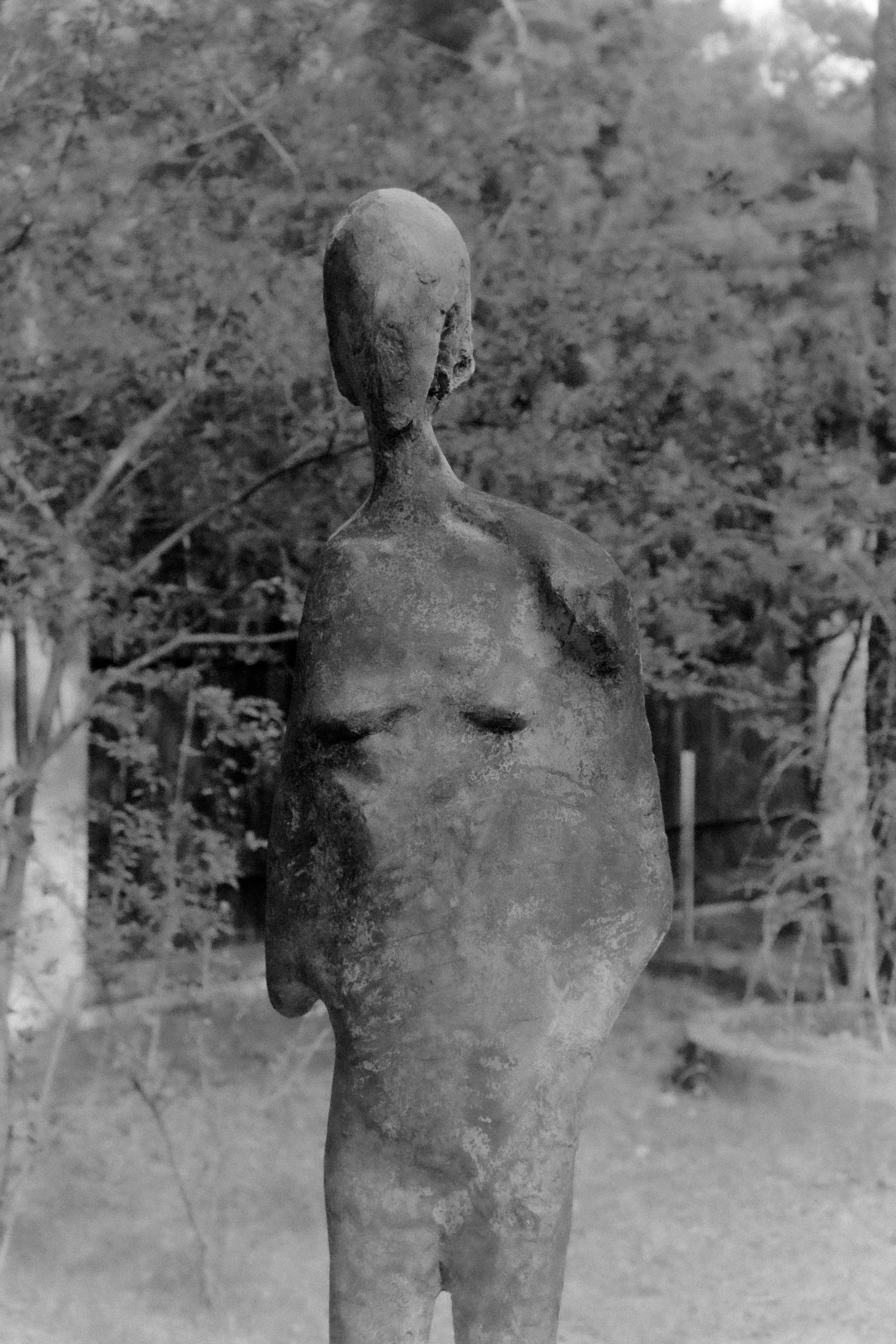 Worn Figure in Garden Fog: A Quiet Monument Beneath the Trees