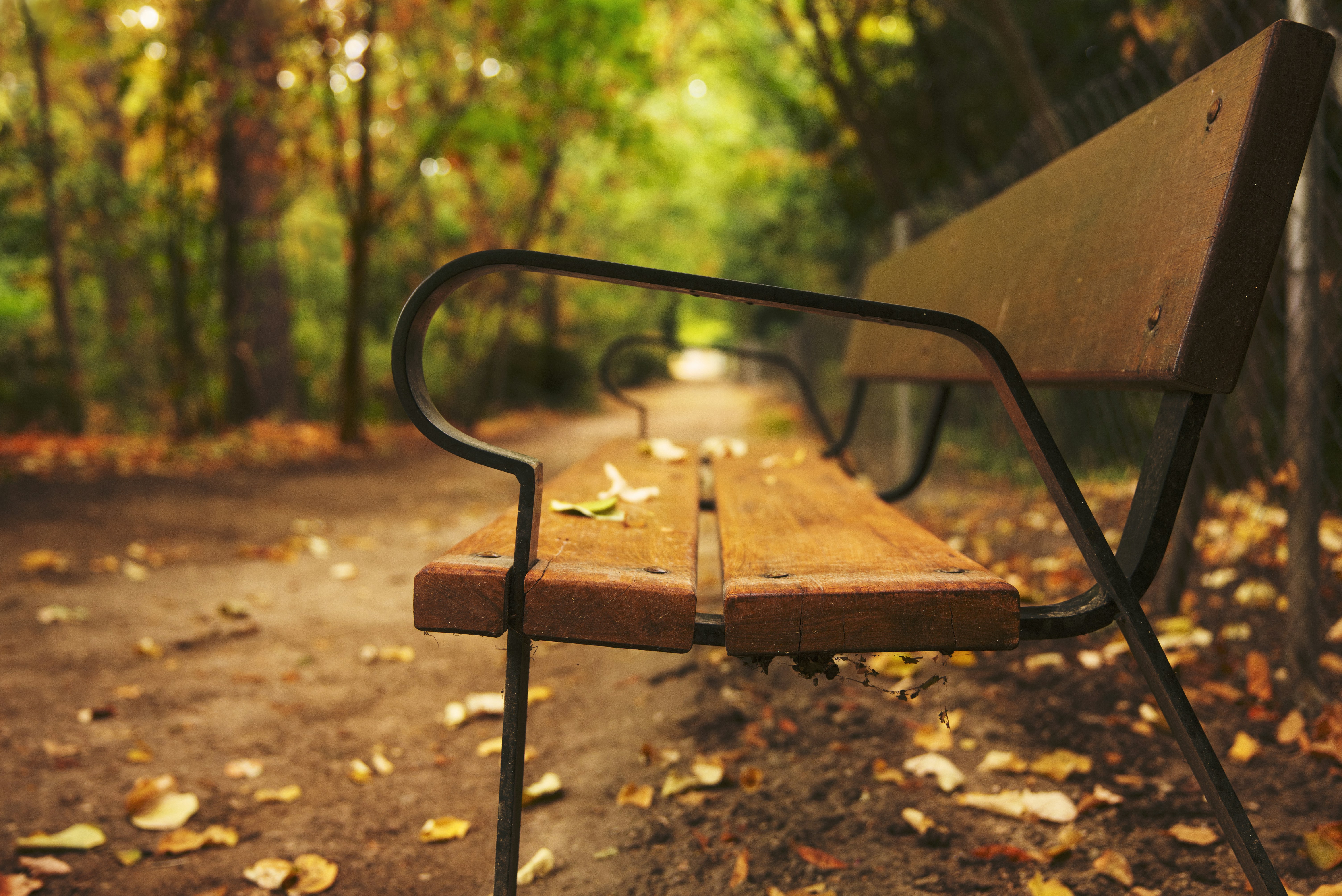 A Quiet Moment on the Park Bench